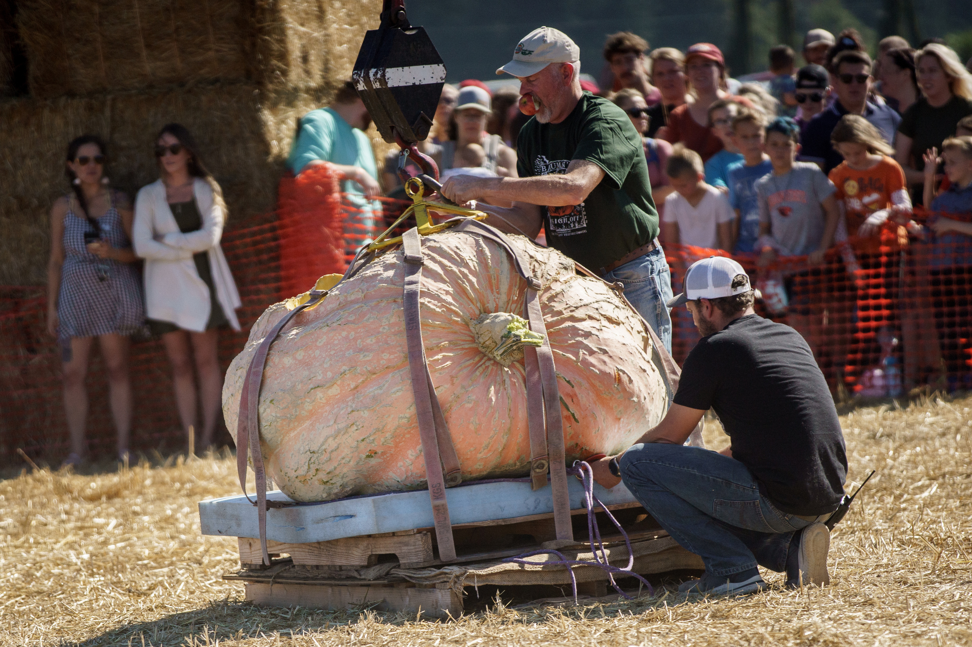 Bauman’s Giant Pumpkin Drop 2022 - oregonlive.com