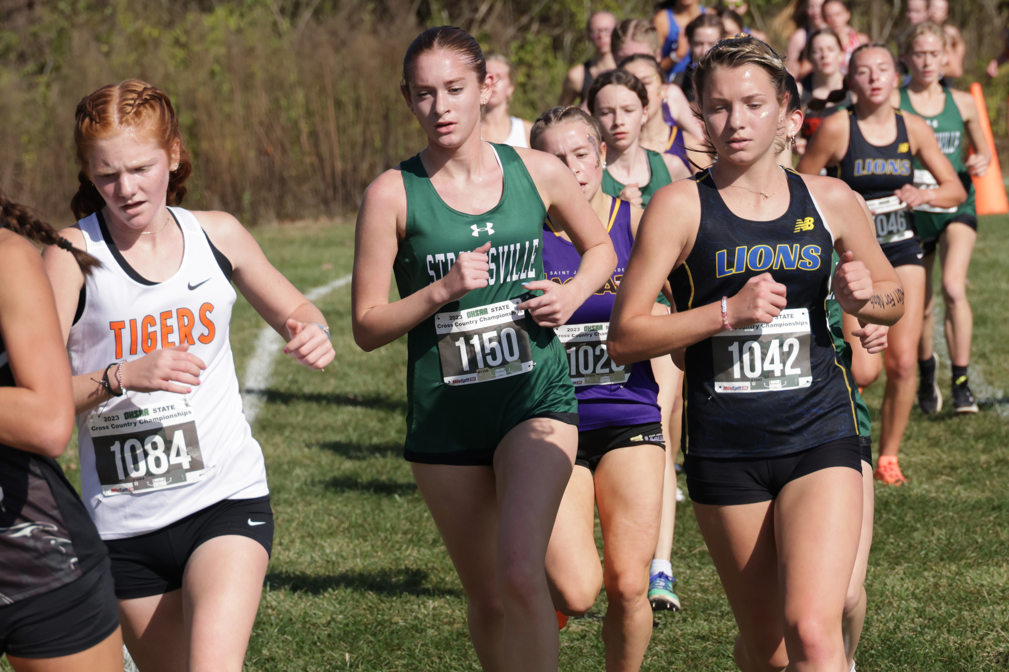 Ohio Girls Cross Country State Championships, 2023 - cleveland.com