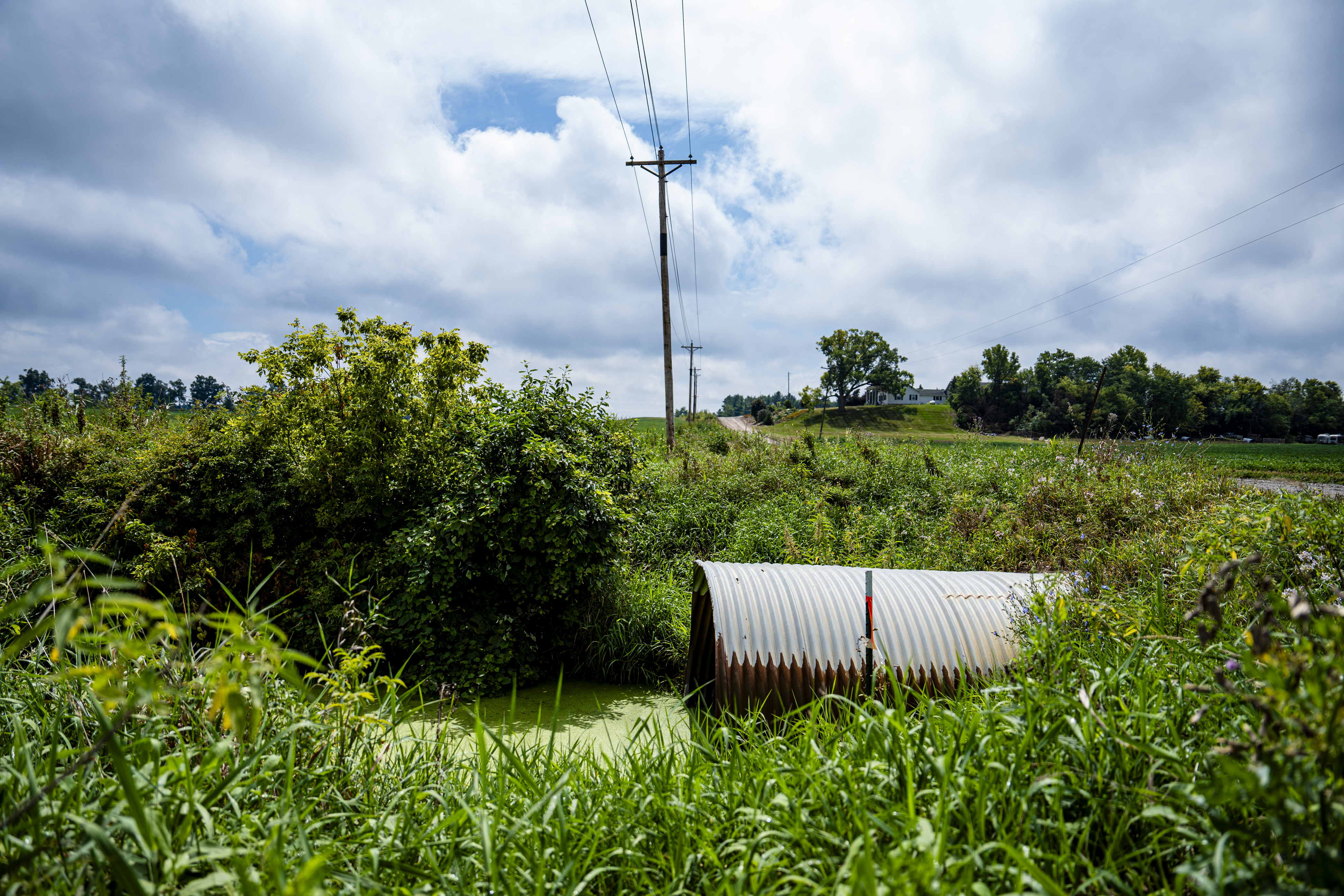 Wetland Restoration Project in Lenawee County - mlive.com
