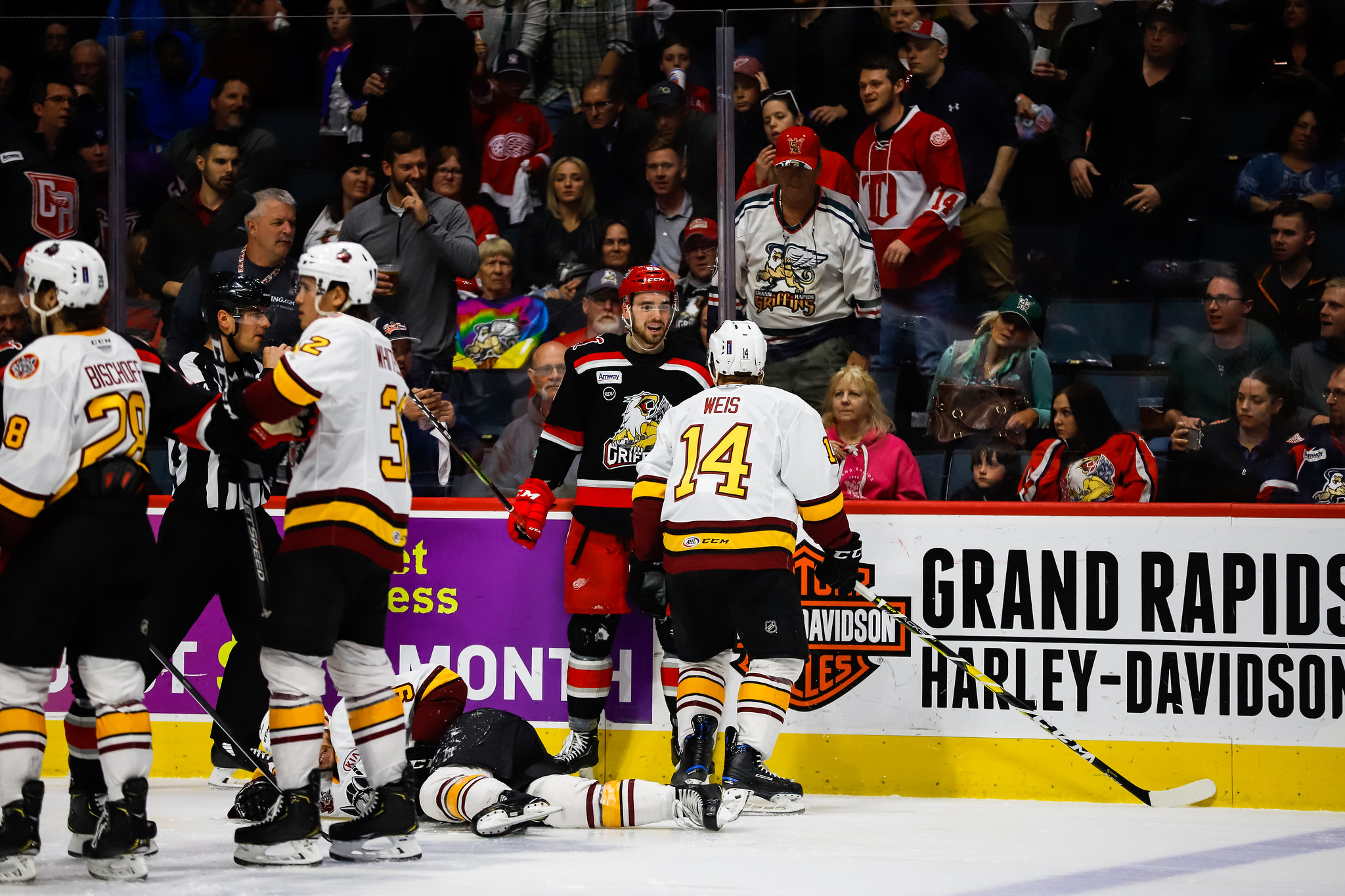 Dominic Turgeon - mlive.com