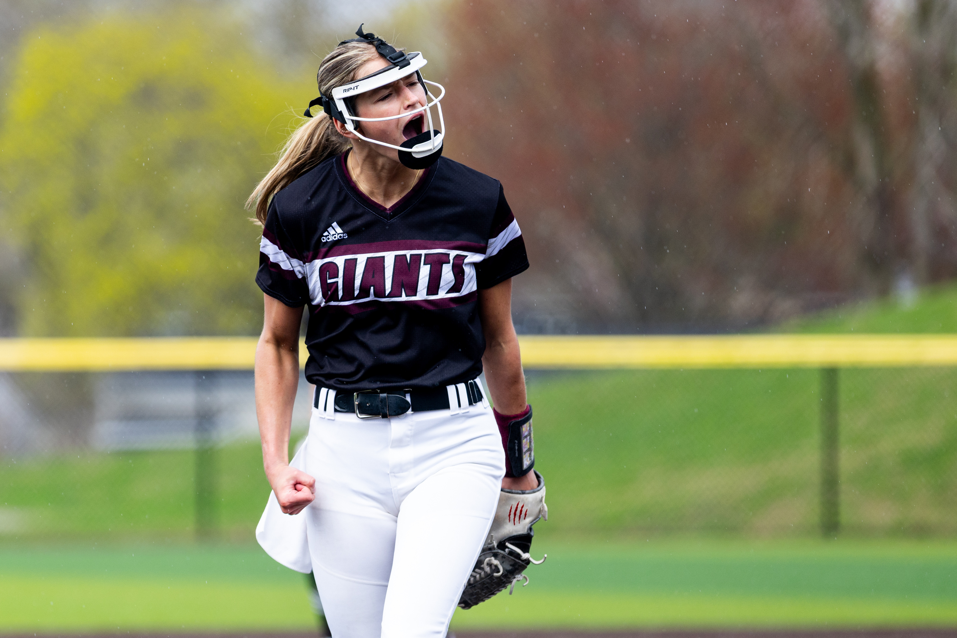Undefeated Kalamazoo Central softball hosts Mattawan in double-header ...