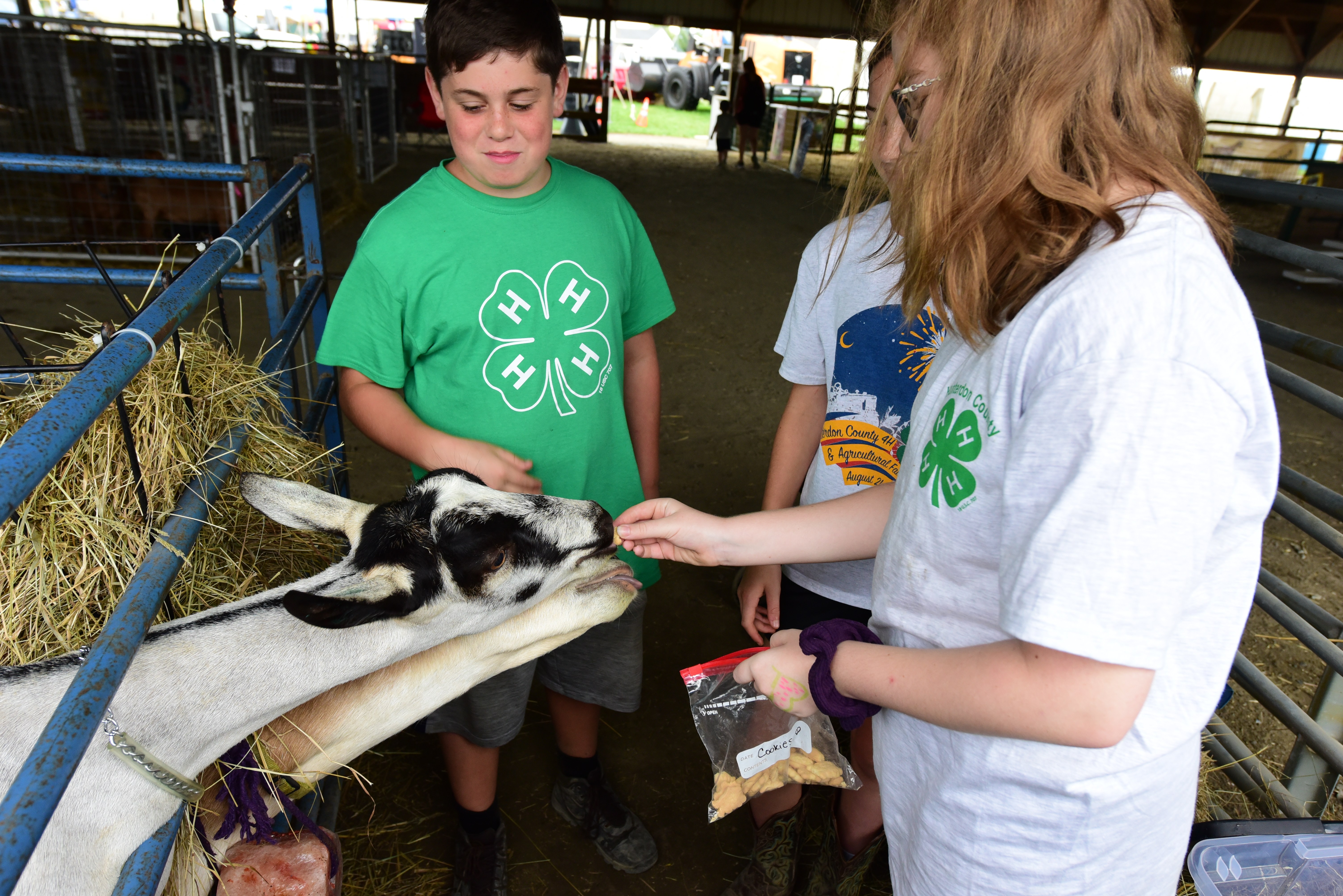Hunterdon County 4-H & Agricultural Fair - nj.com