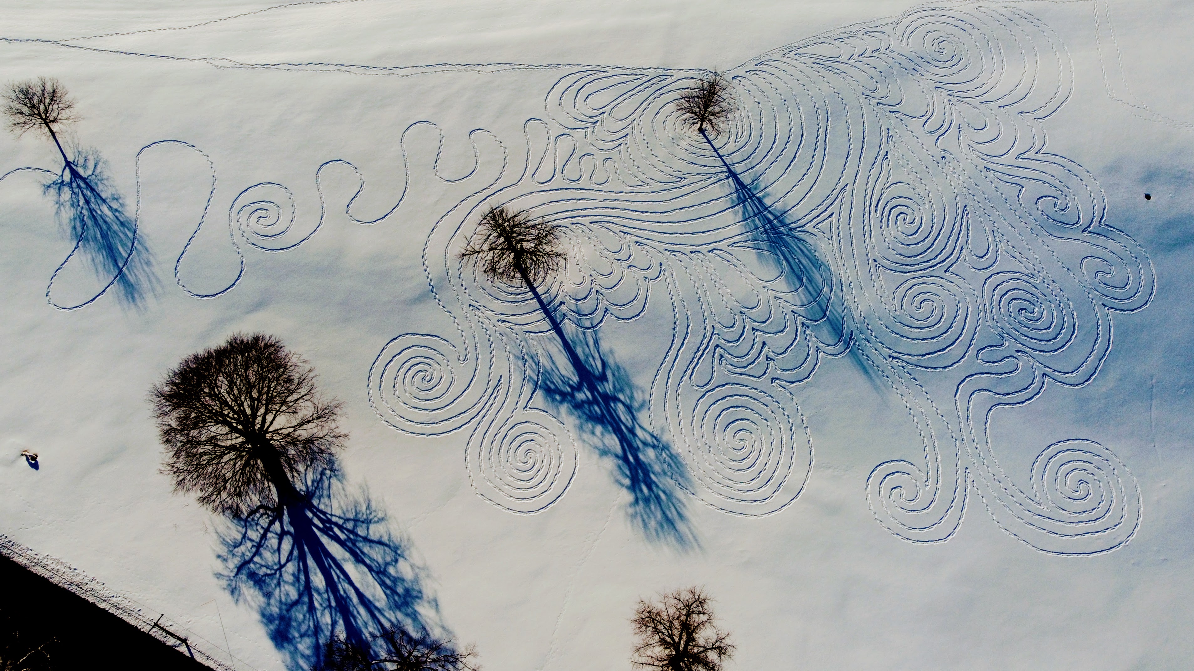 Woodland Reservoir snow circles - syracuse.com