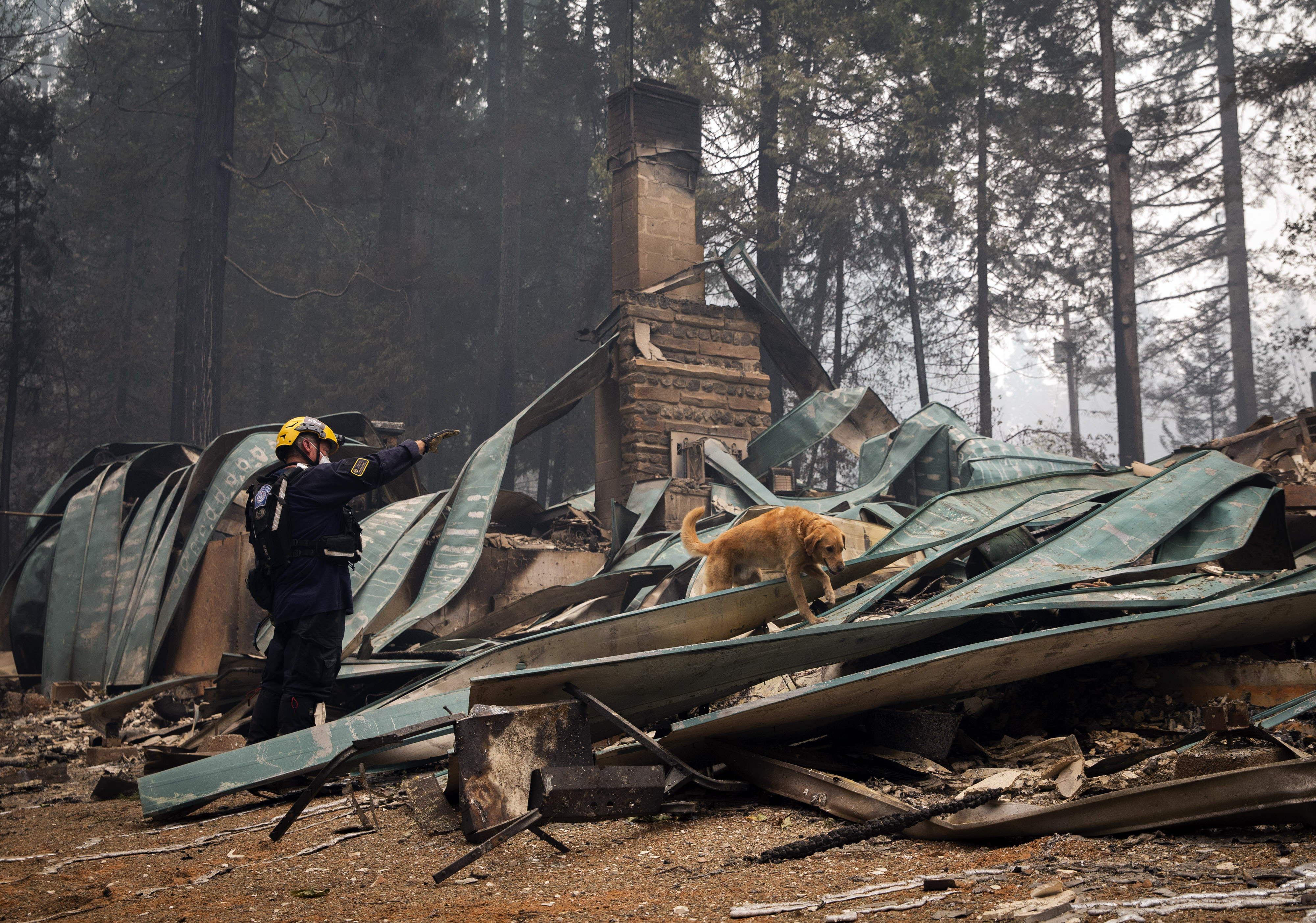 Holiday Farm wildfire damage - oregonlive.com