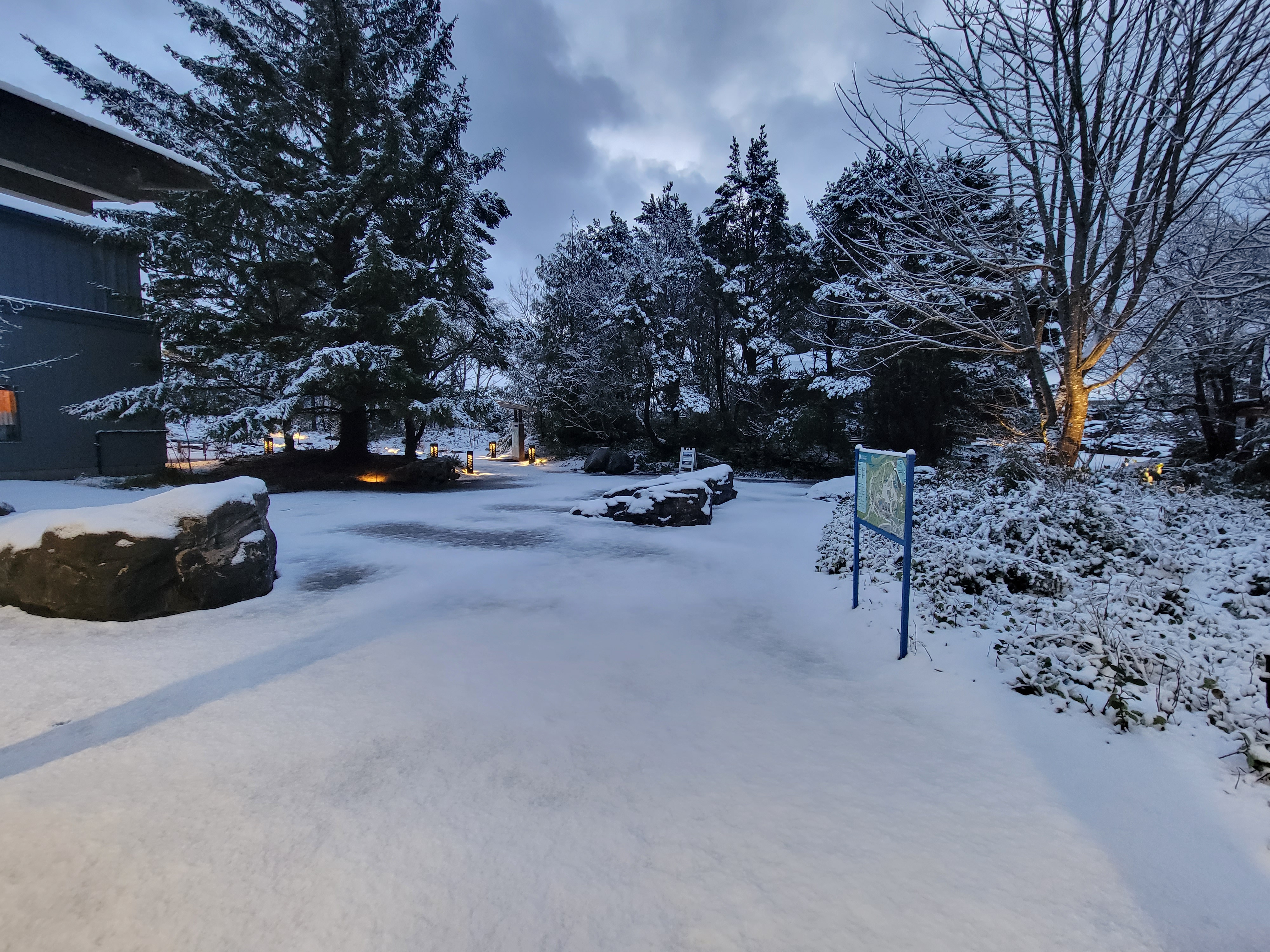 Rare snowfall hits Oregon coast - oregonlive.com
