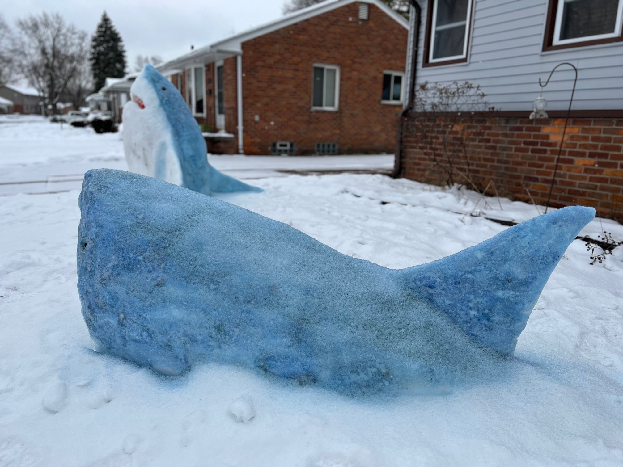 Michigan woman creates snow sharks on her front lawn. - mlive.com