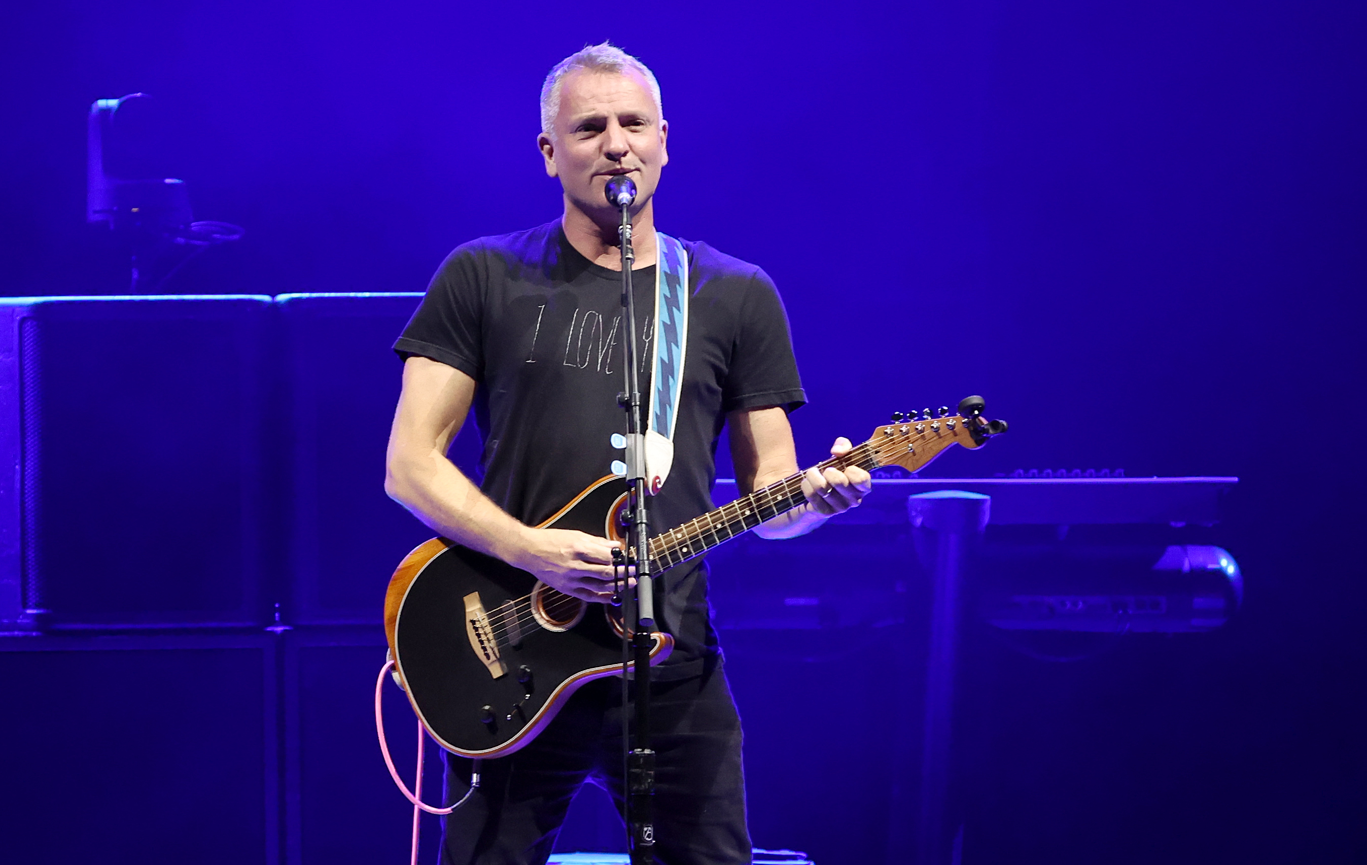 Sting at St. Joseph’s Health Amphitheater at Lakeview - syracuse.com