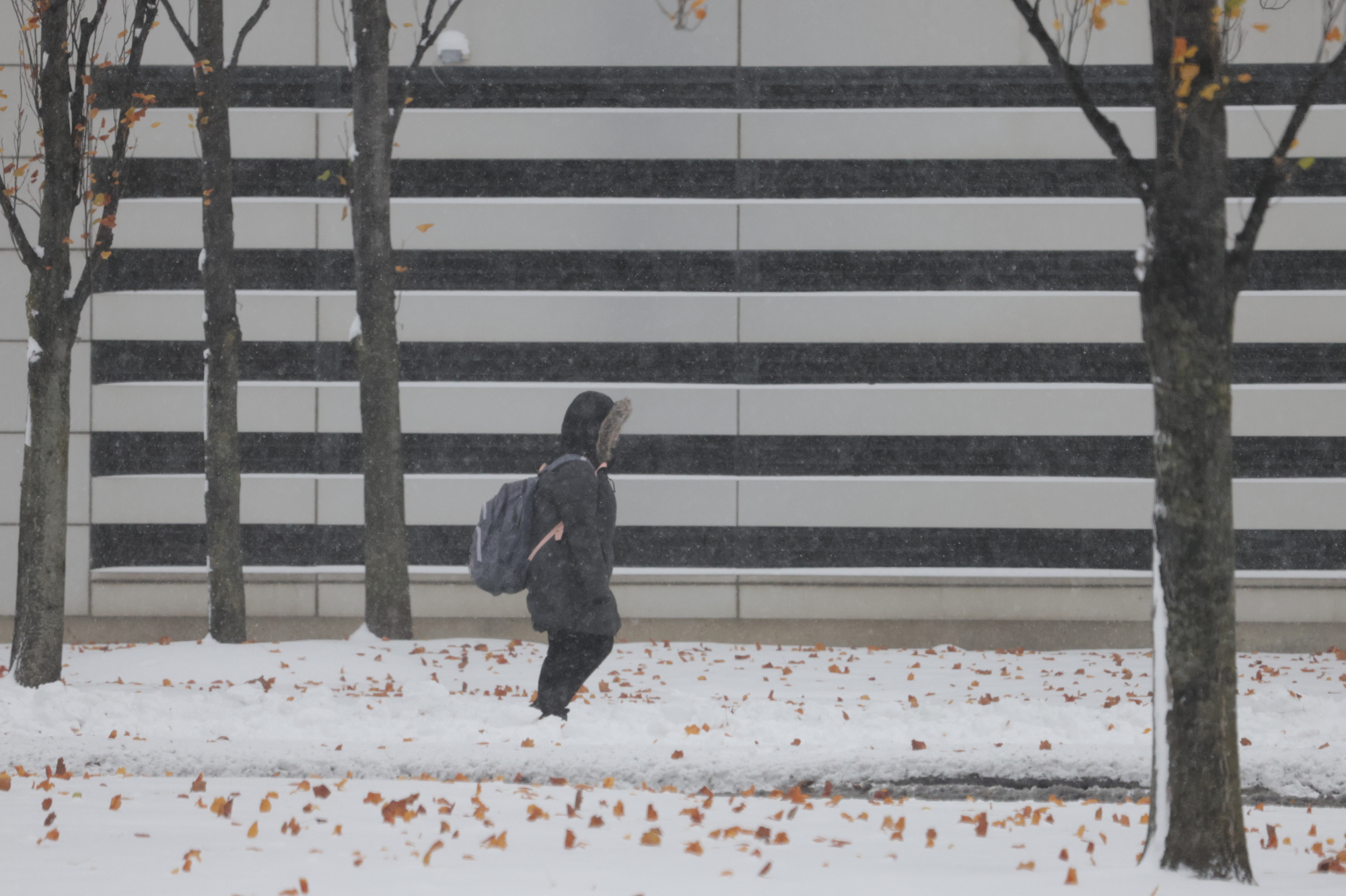 Snowfall in NE Ohio on Tuesday, November 28, 2023 - cleveland.com