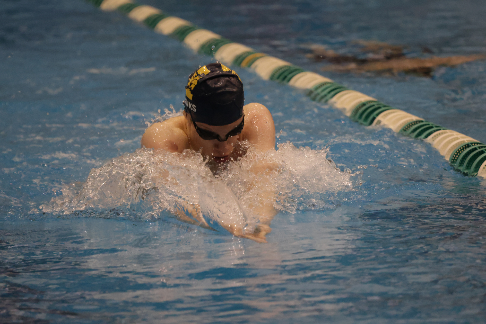 49th Viking Invitational Swim Meet at CSU - cleveland.com
