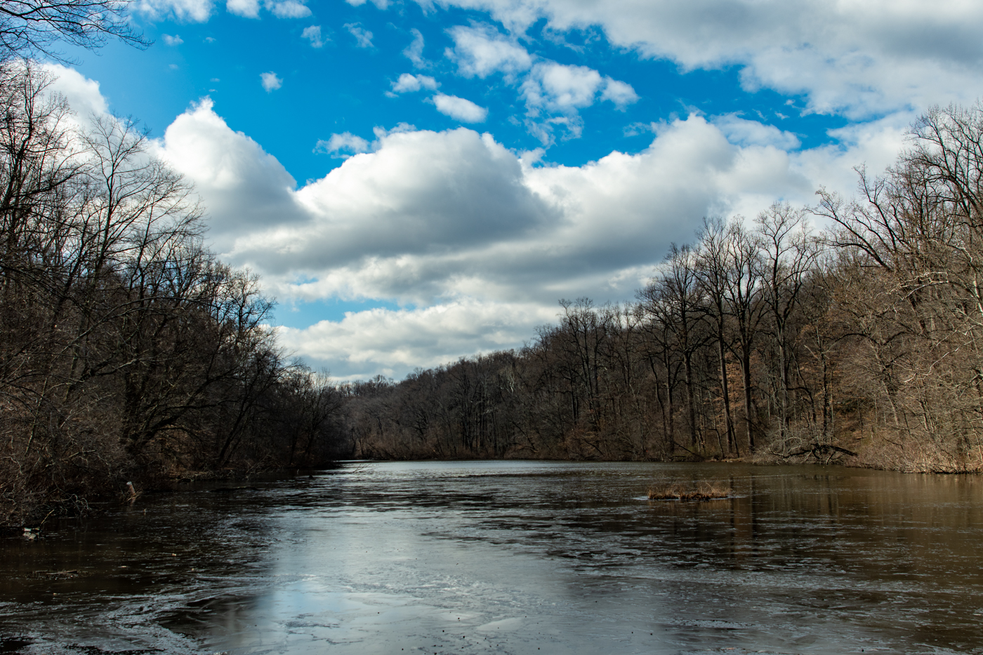 Hyperlocal Watchung Reservation - nj.com