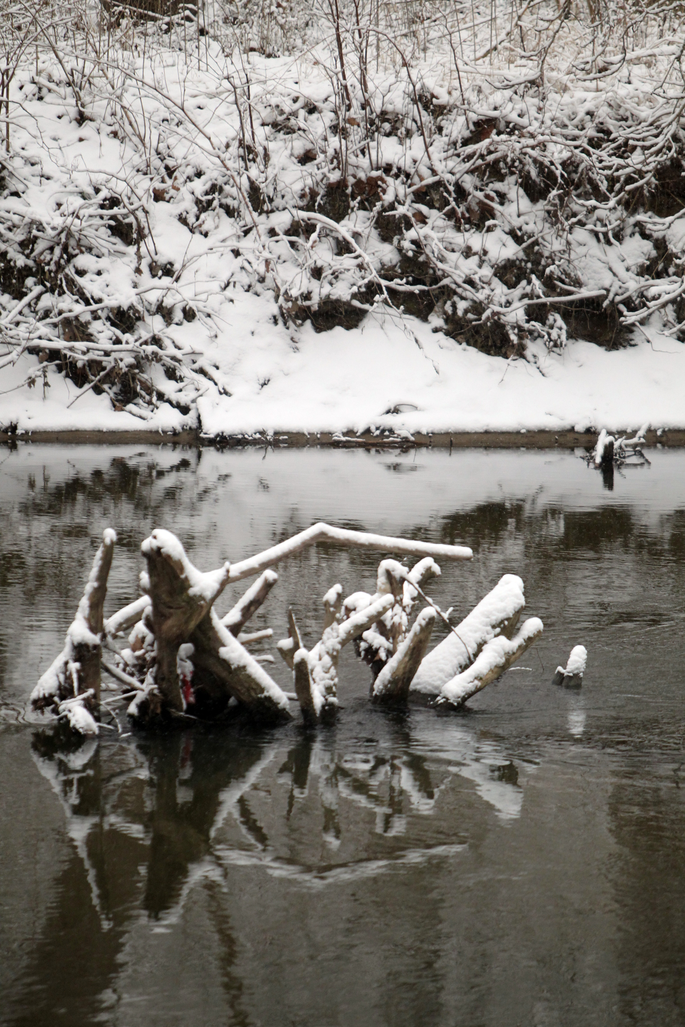 Scenic snowfall blankets Northeast Ohio, February 1, 2021 - cleveland.com