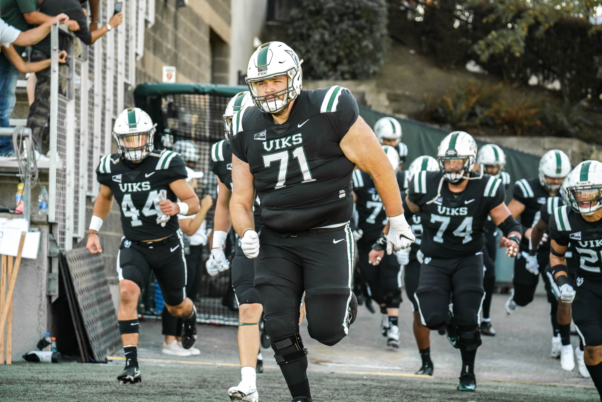 Portland State Vikings football vs. Montana State Bobcats - oregonlive.com