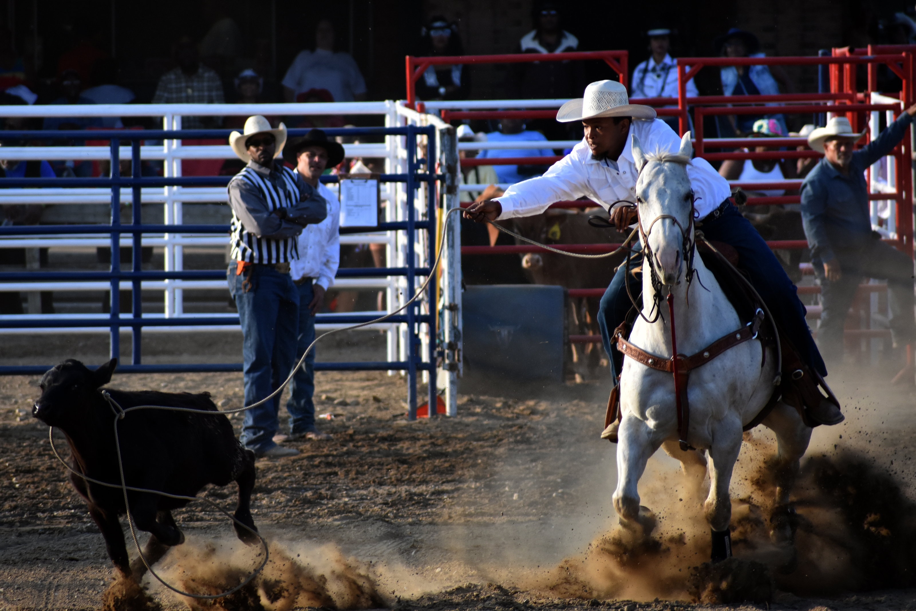 Hundreds attend Midwest Invitational Rodeo in Flint area in 2025 ...