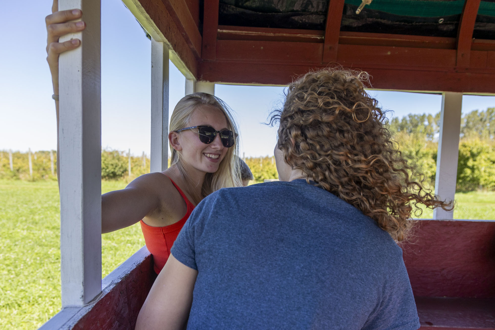 U-Pick ‘Holiday’ at Genesee County orchard draws apple lovers - mlive.com