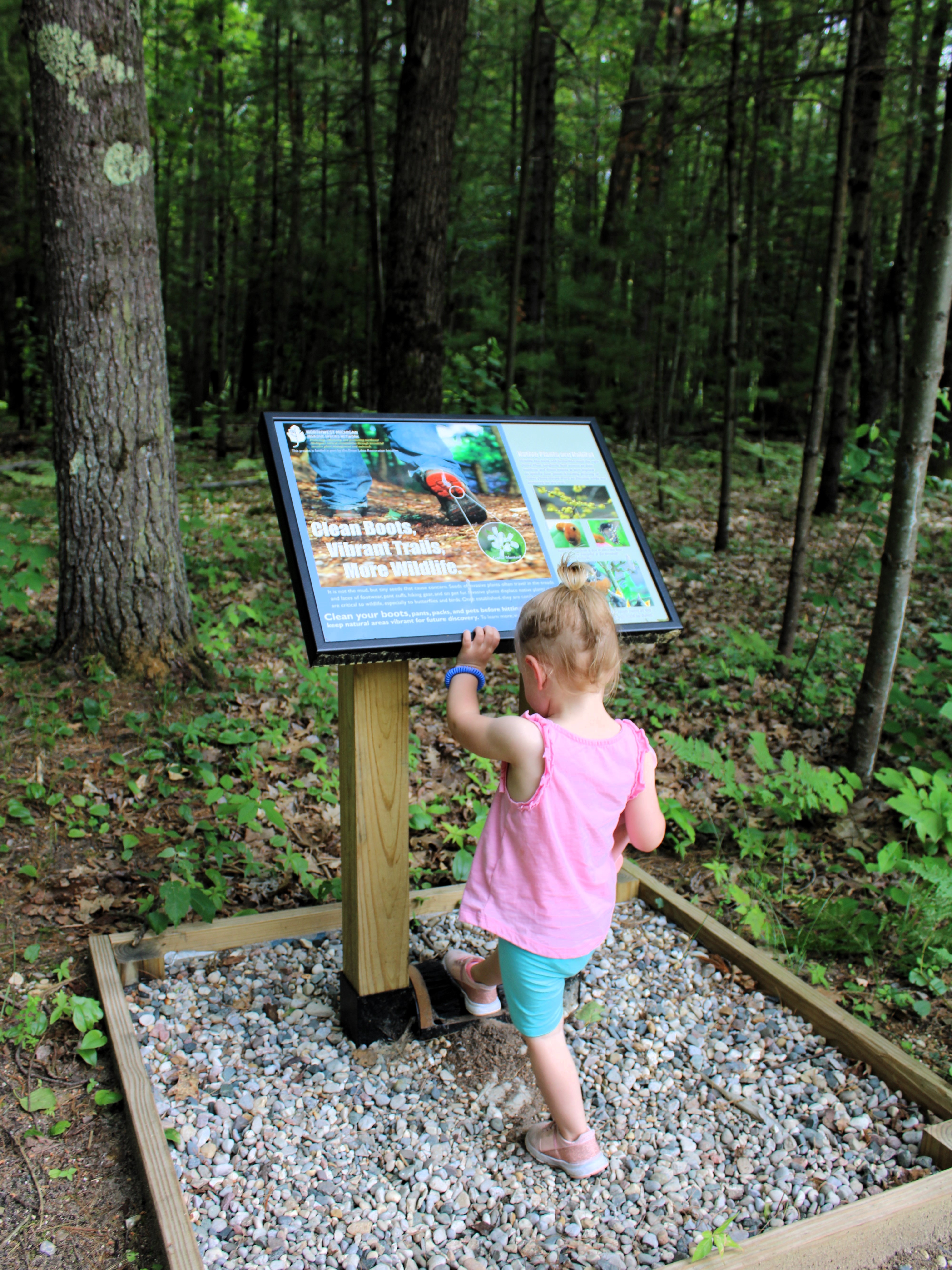 Arboretum Trail shows off 1940s tree experiment - mlive.com