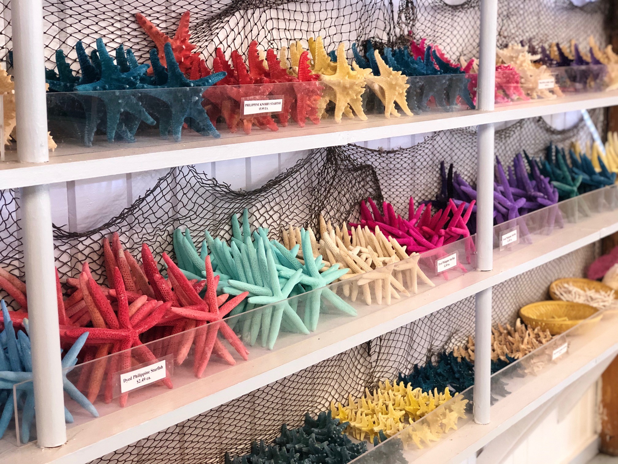 Sea Shell City in Cheboygan, Michigan - mlive.com