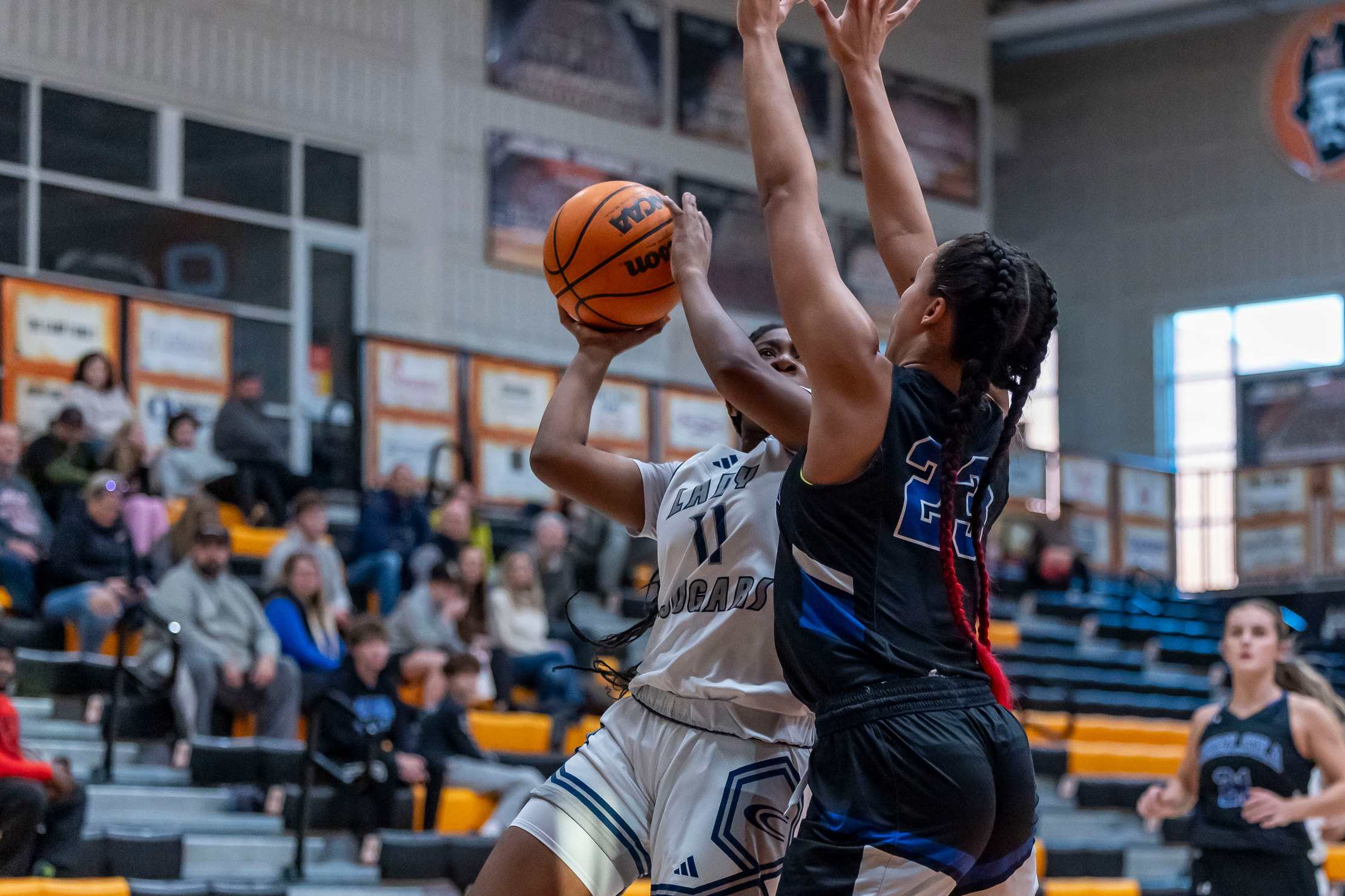 Clay-Chalkville vs Chelsea Girls Basketball - al.com