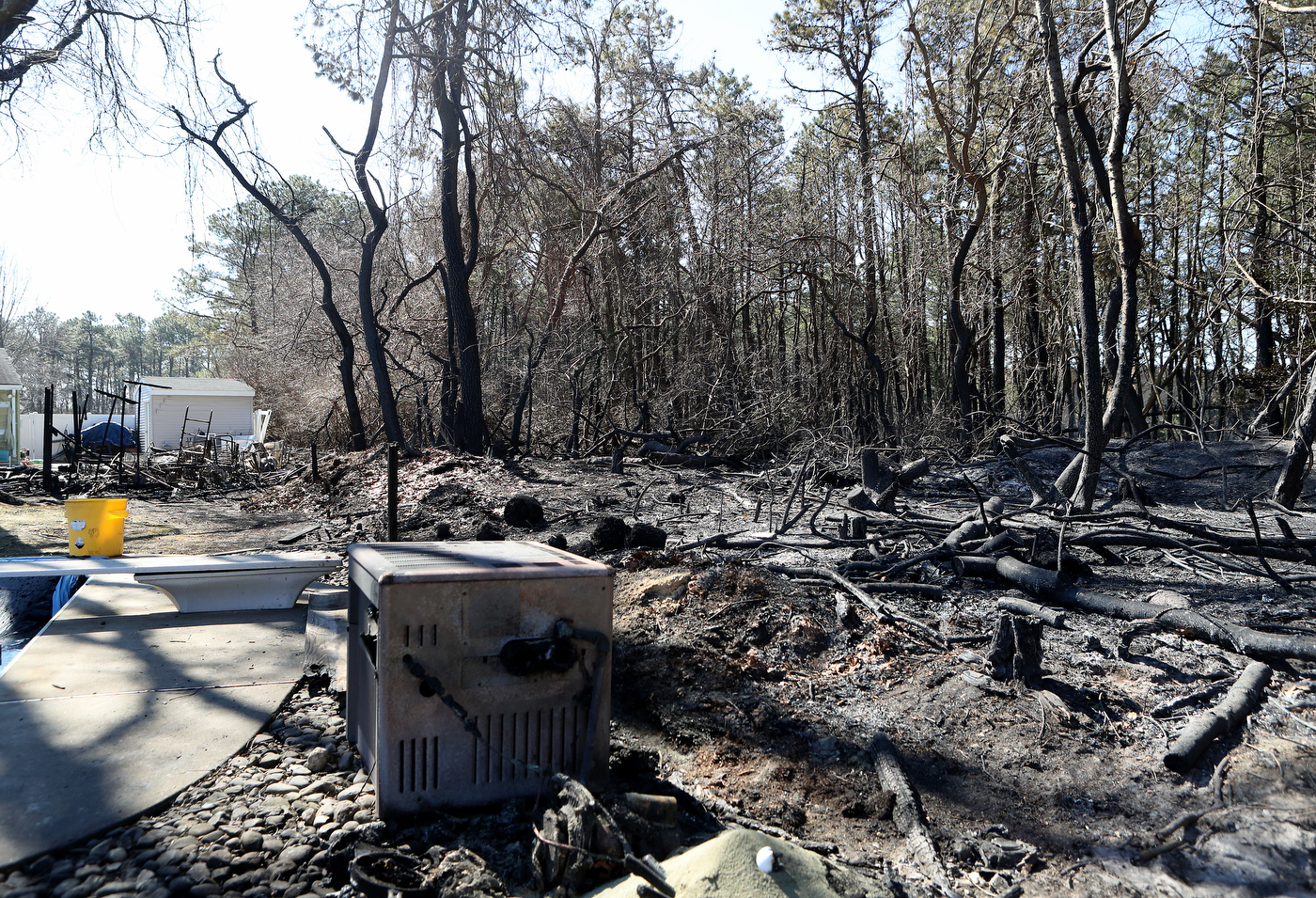Damage from large brush fire in Brick and Lakewood, March 15, 2021 - nj.com