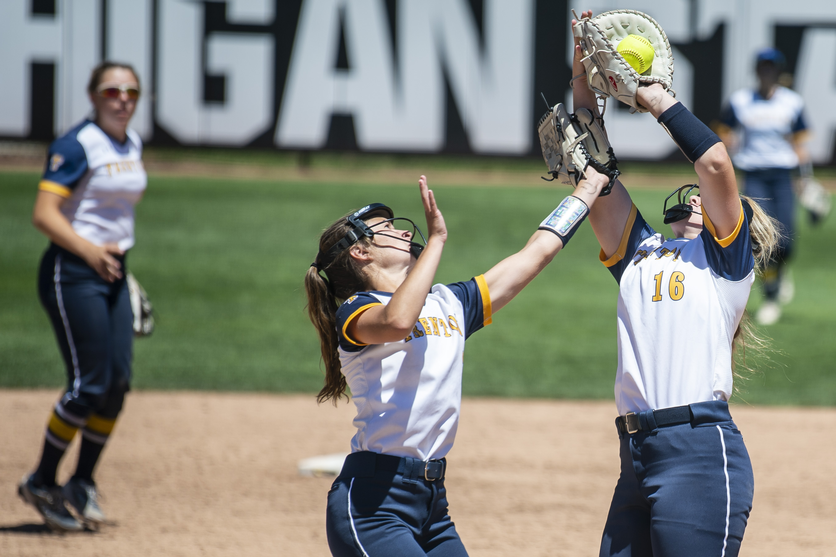 Stevenson Lakeshore softball defeats Trenton in Division 2 championship ...