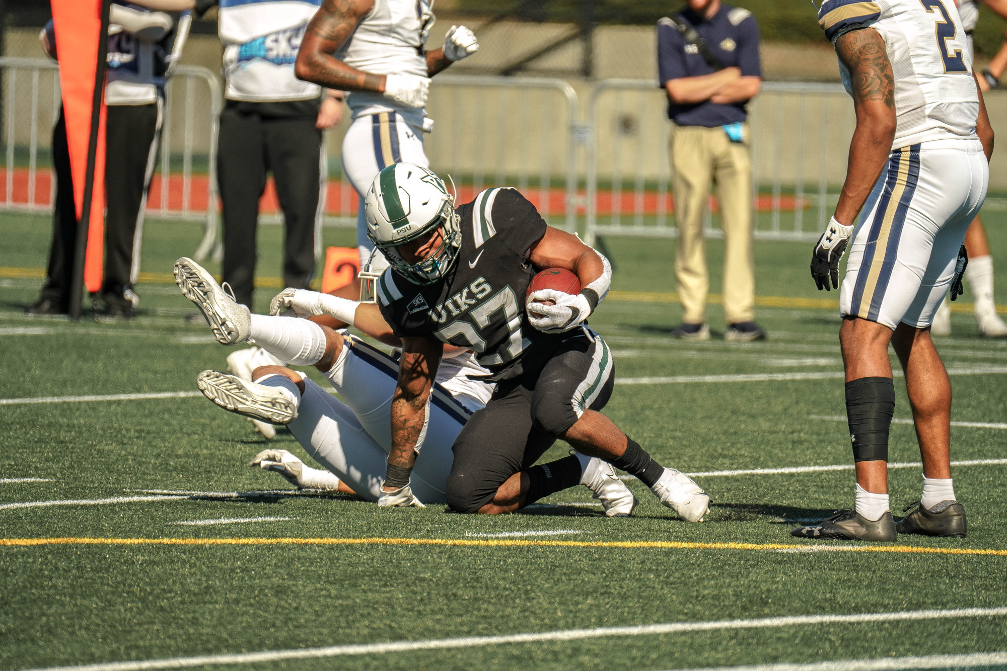 Portland State Vikings football vs. Montana State Bobcats - oregonlive.com