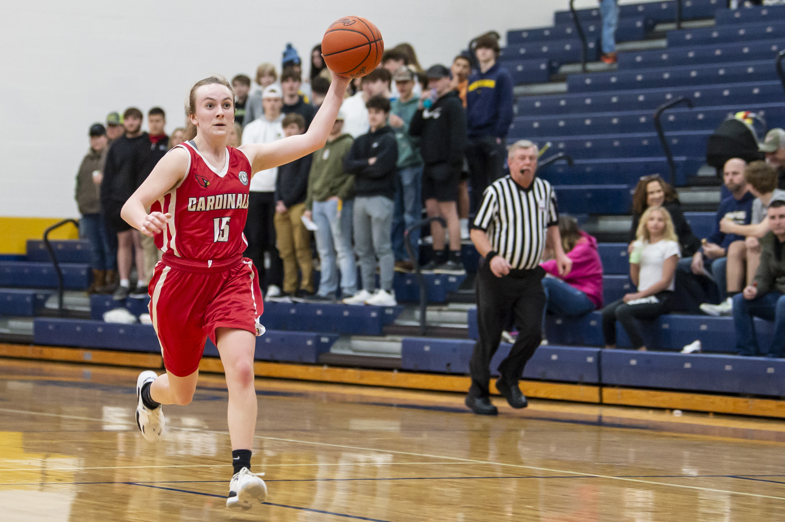 Standish-Sterling girls basketball takes down Millington - mlive.com
