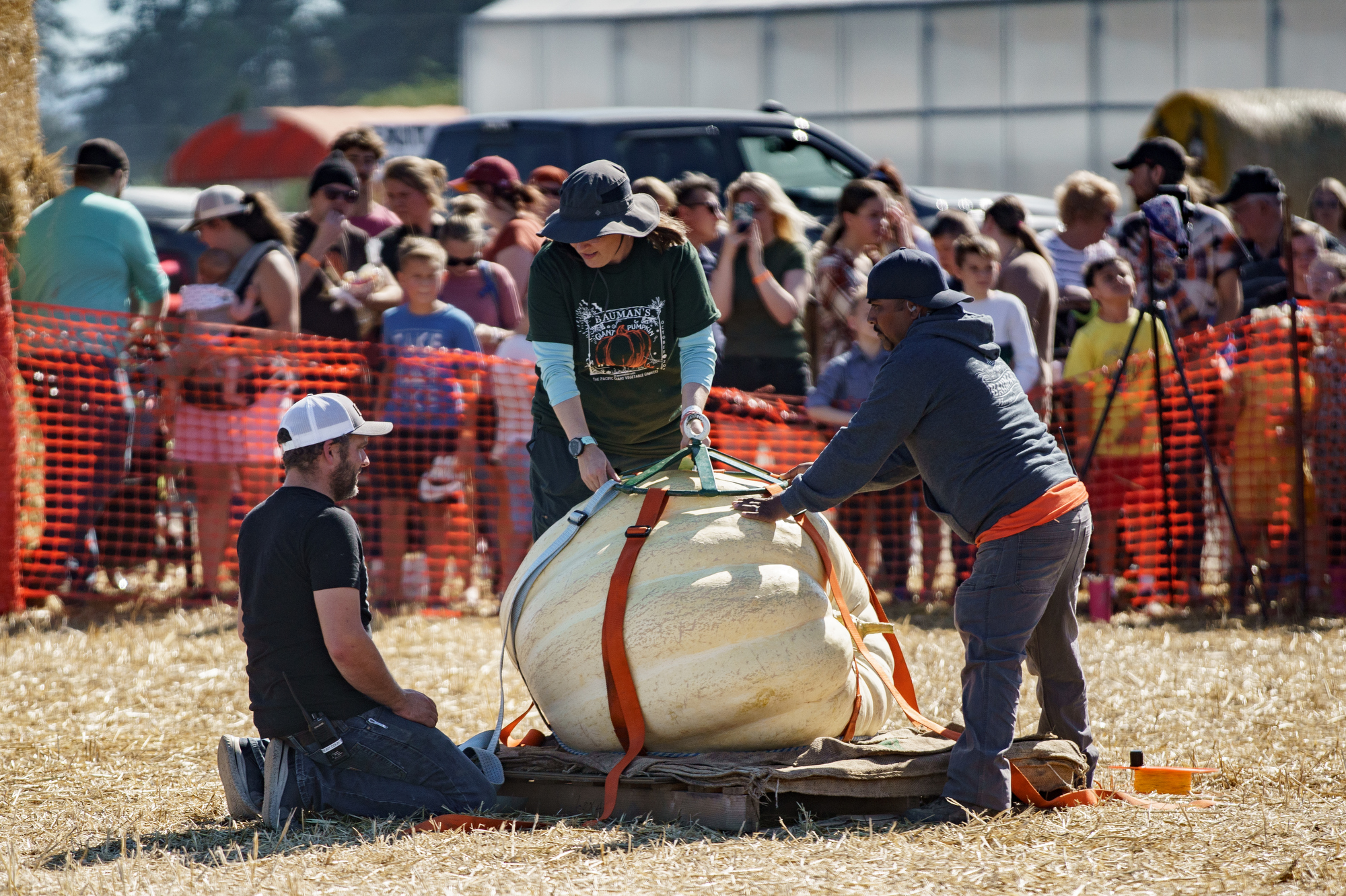 Bauman’s Giant Pumpkin Drop 2022 - oregonlive.com