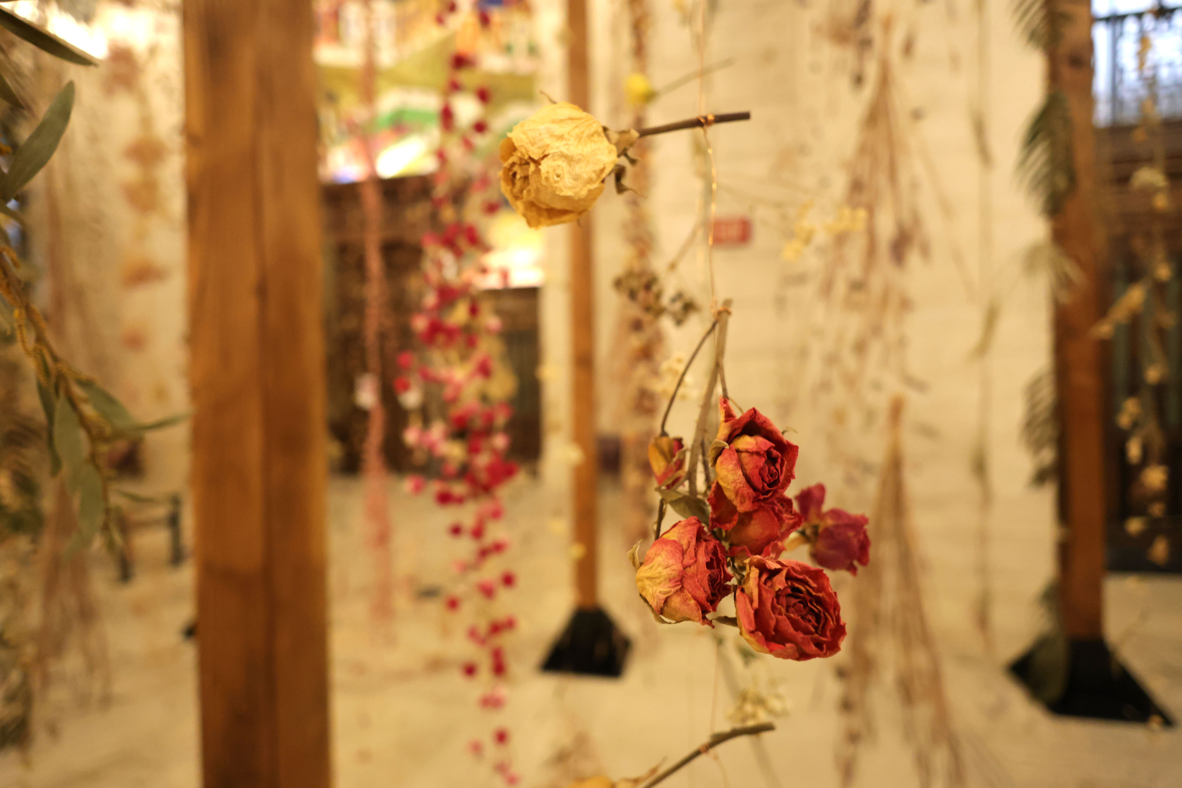 "The Archive" floral exhibit on display in Cleveland - cleveland.com