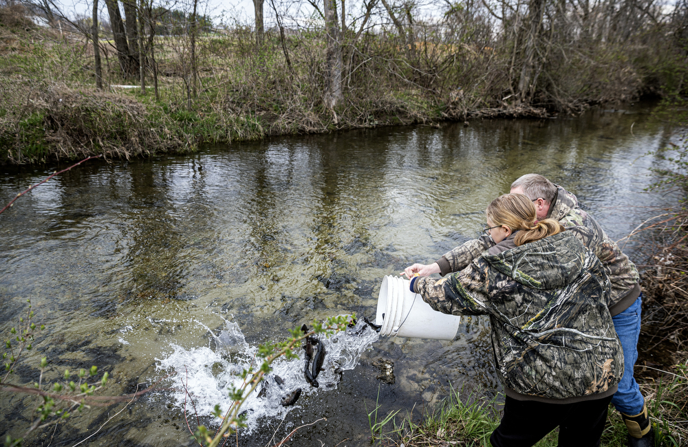 Pennsylvania trout stocking 2024 - pennlive.com