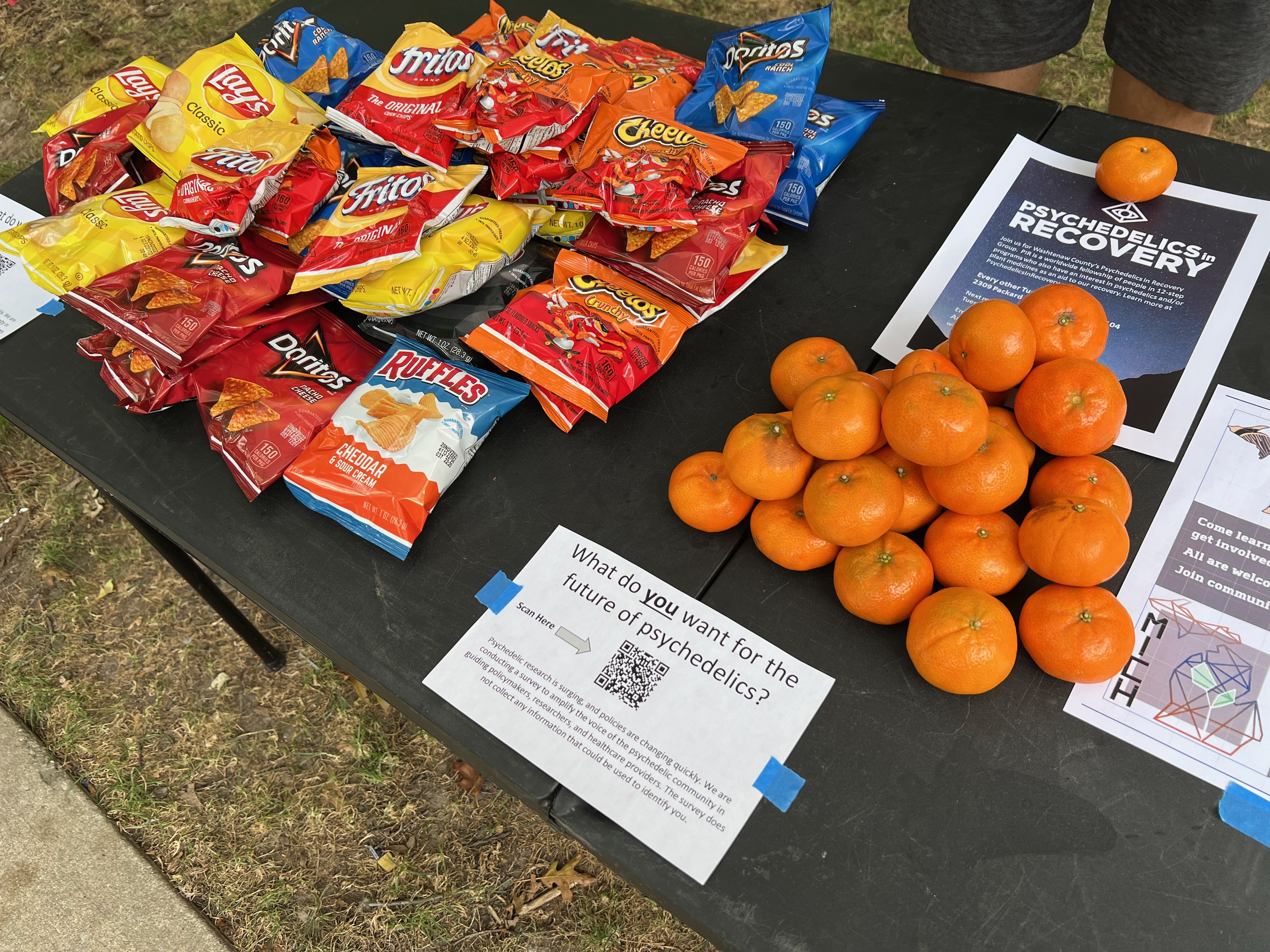 Ann Arbor's 2nd-annual Entheofest celebrating psychedelic plants and ...