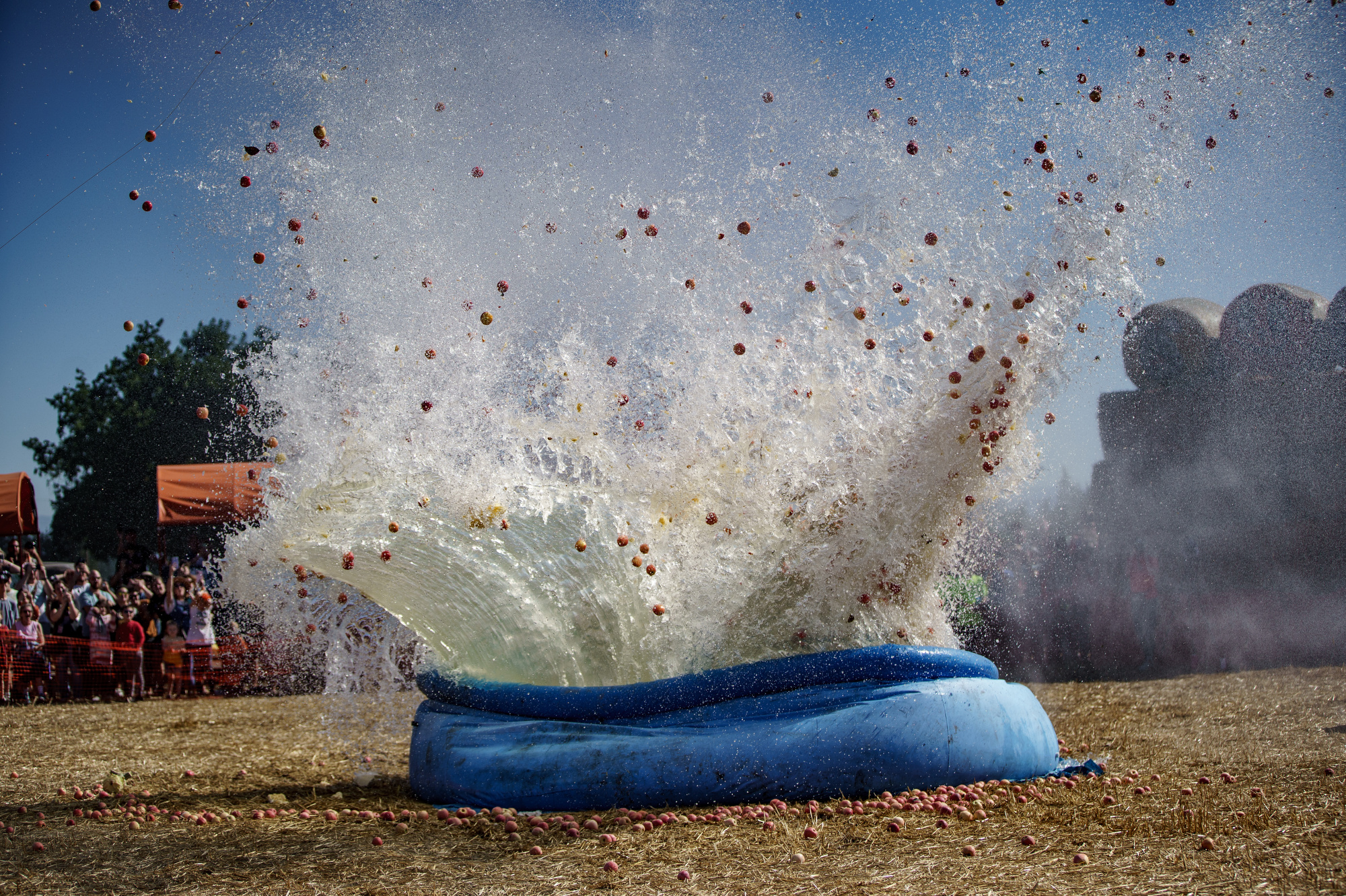 Bauman’s Giant Pumpkin Drop 2022 - oregonlive.com