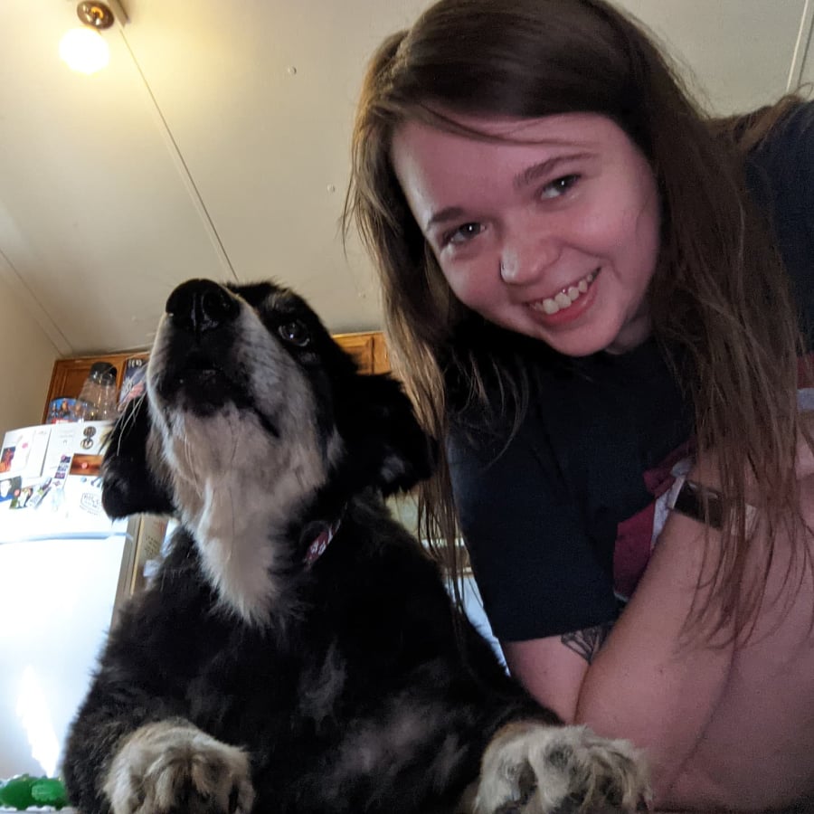 Obese senior dog left on side of I-675 with open wounds finds new home ...