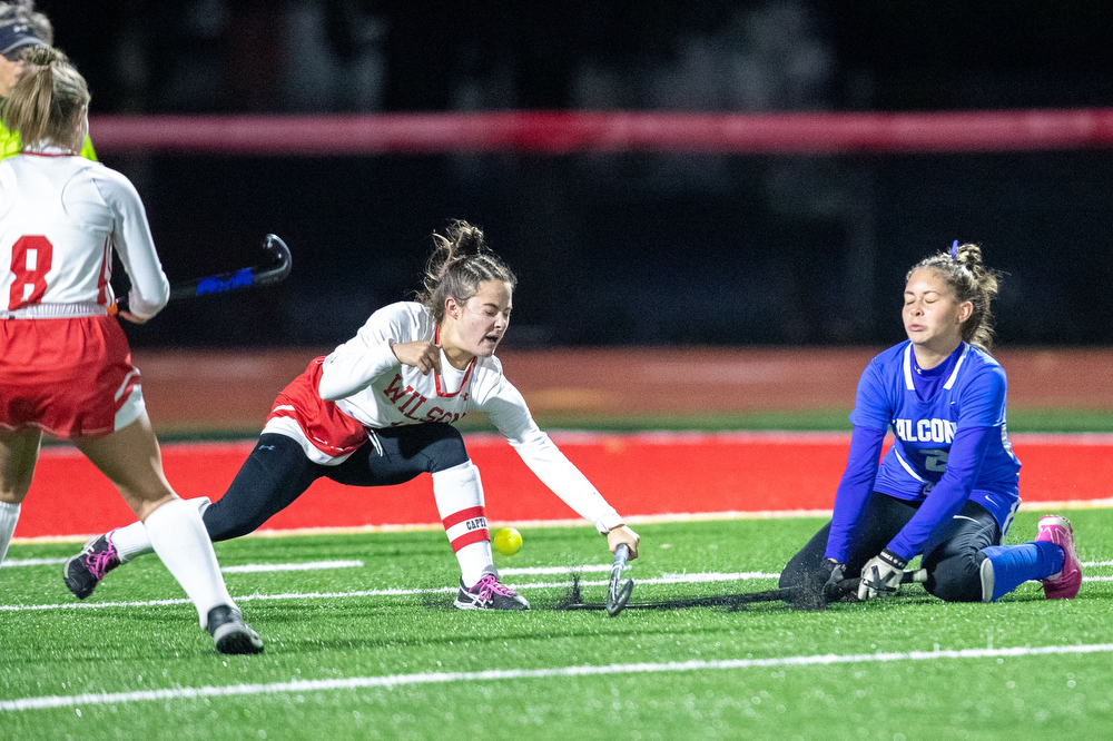 Lower Dauphin wins State Field Hockey Championship - pennlive.com