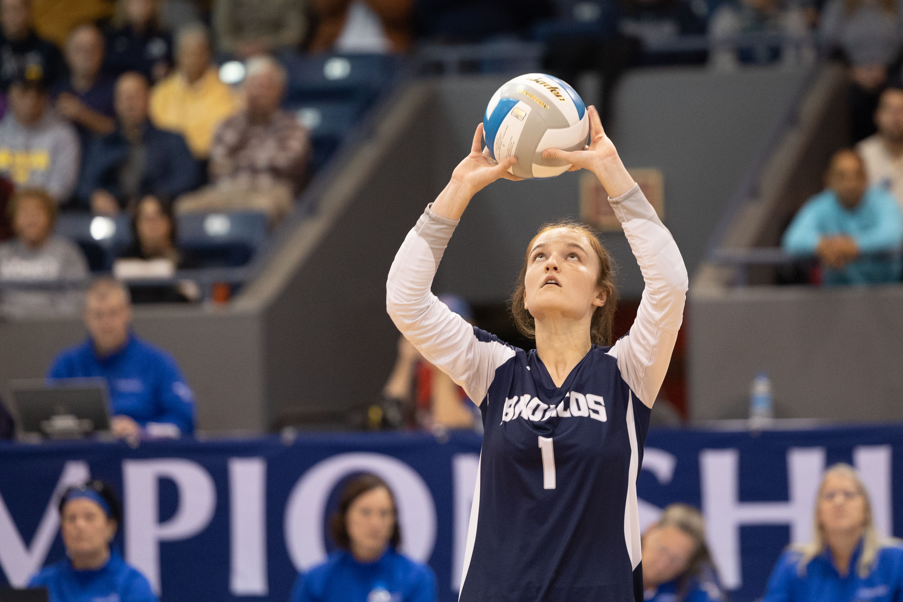 North Branch faces Cadillac for Division 2 volleyball title - mlive.com