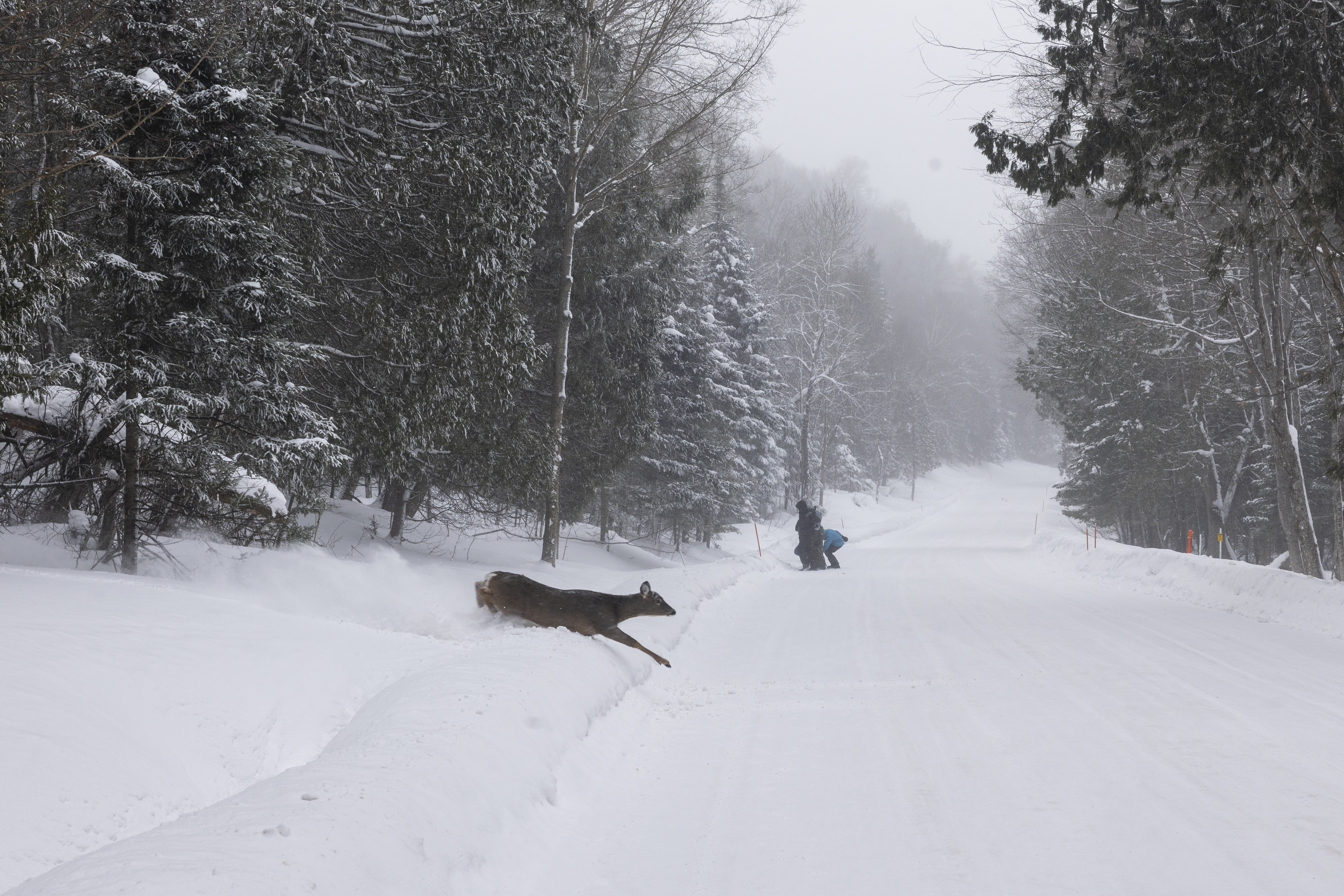 Big snow piles up in Upper Peninsula with some areas hitting the 200 ...