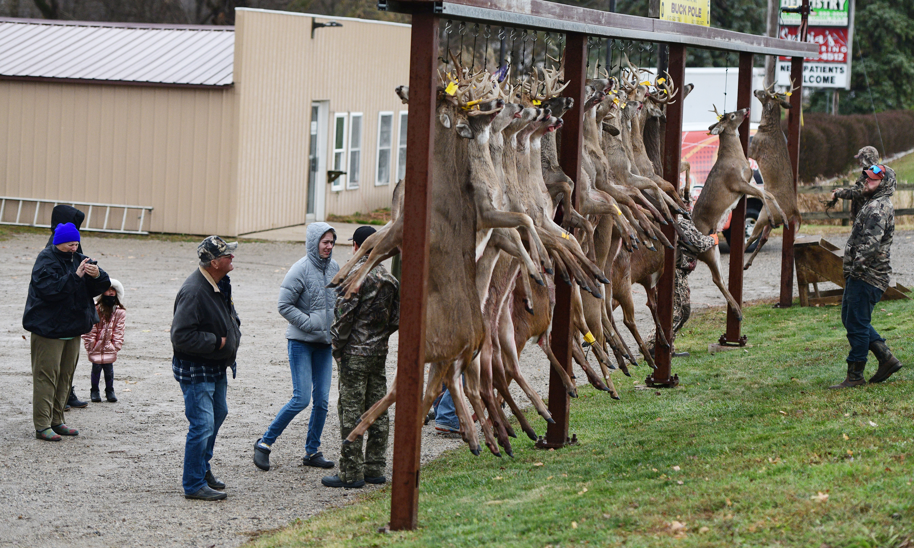 Buck poles at Jerome Country Market and Knutson's on the first day of ...