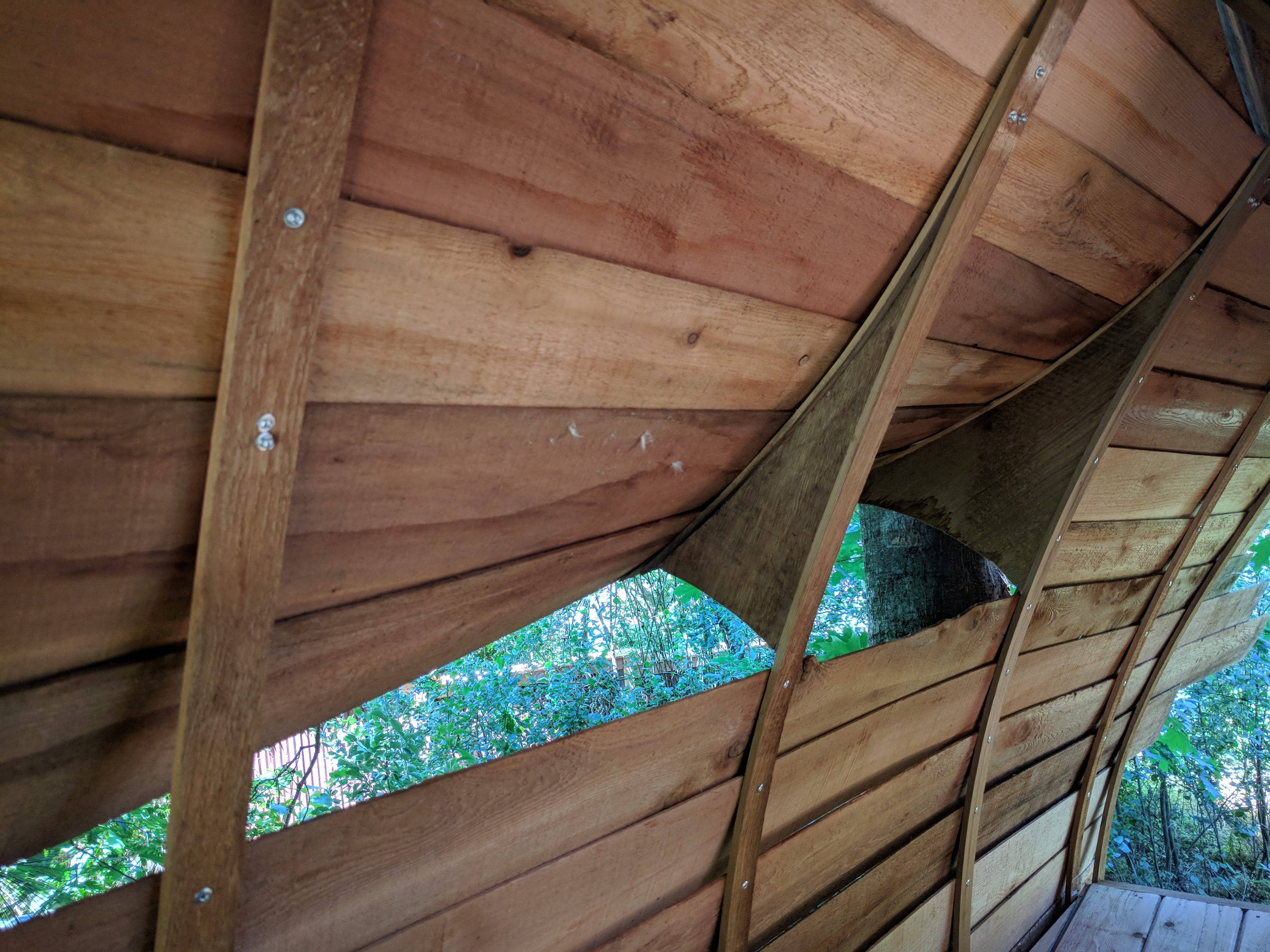 Portland architect's ark treehouse, ADUs and remodeled Airstream ...