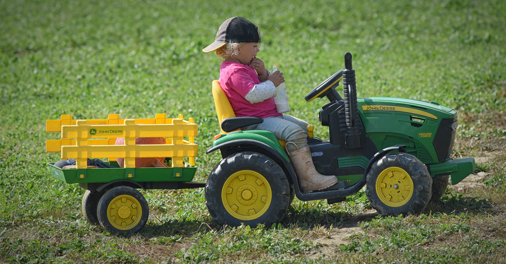 Rooted Flowers Farm in Agawam - masslive.com