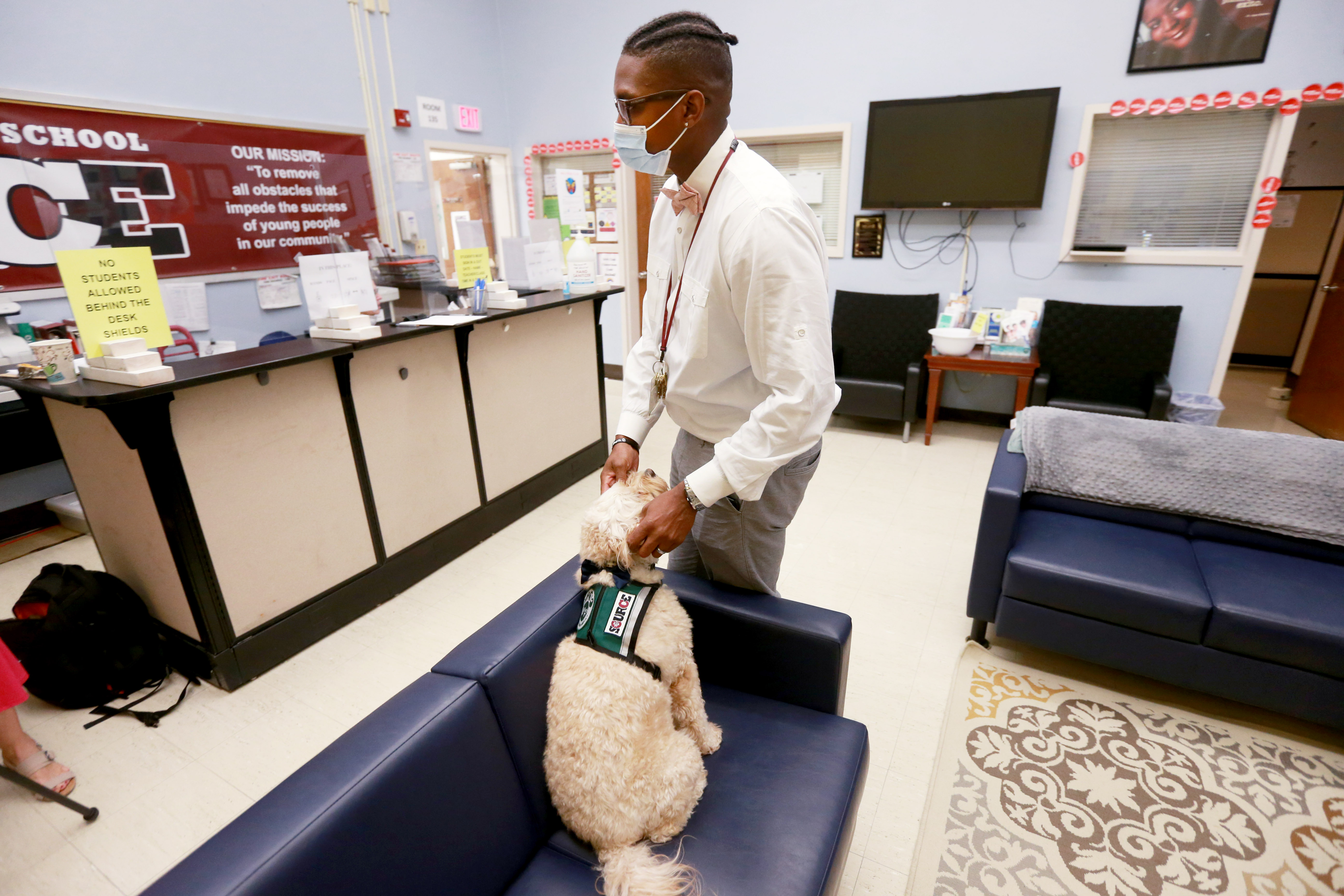 High school therapy dog a real comfort - nj.com