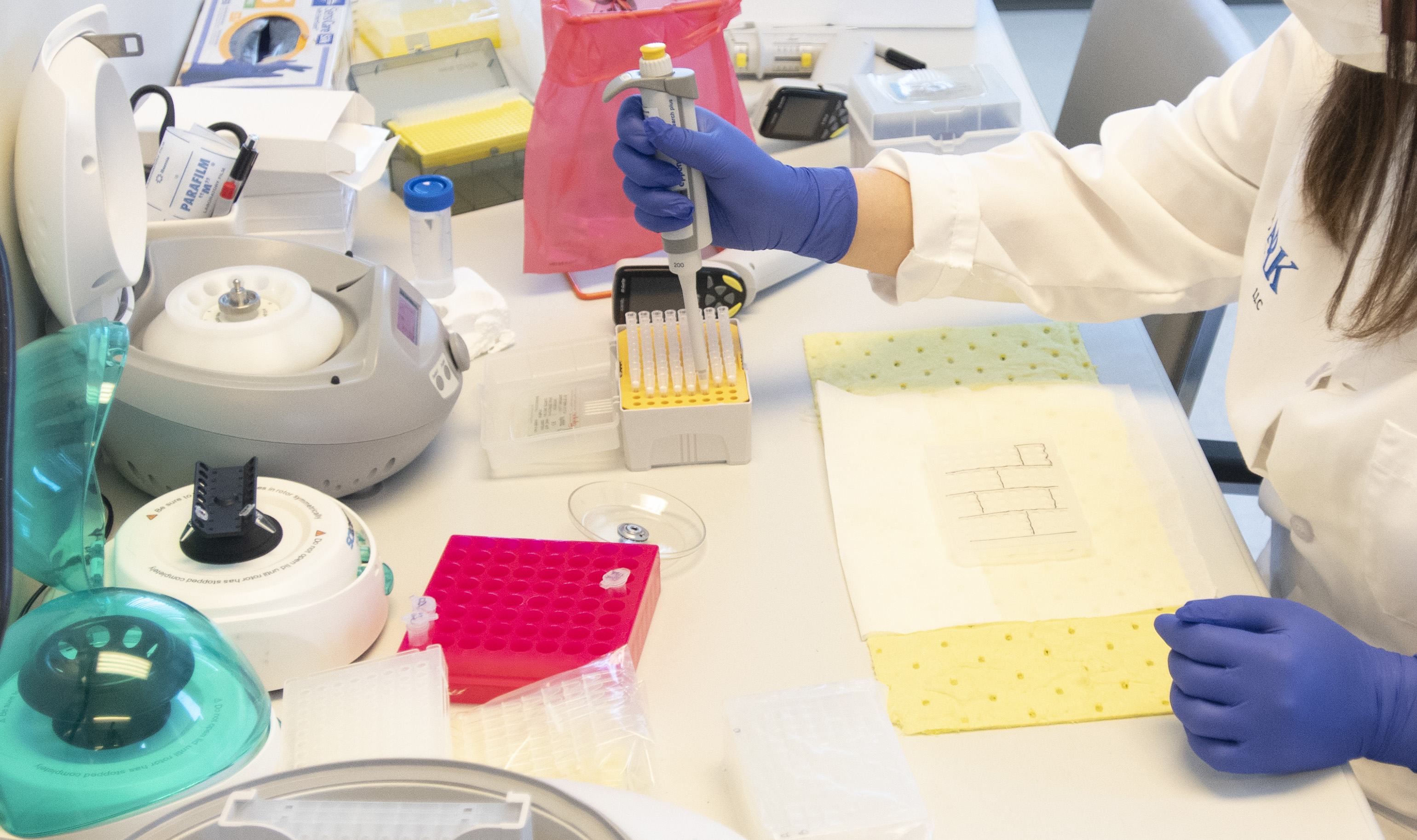 COVID-19 testing at Helix Diagnostics in Oakland County - mlive.com