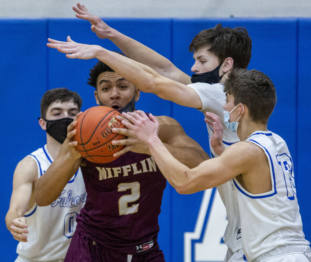 Lower Dauphin boys fall to Governor Mifflin 49-42 - pennlive.com