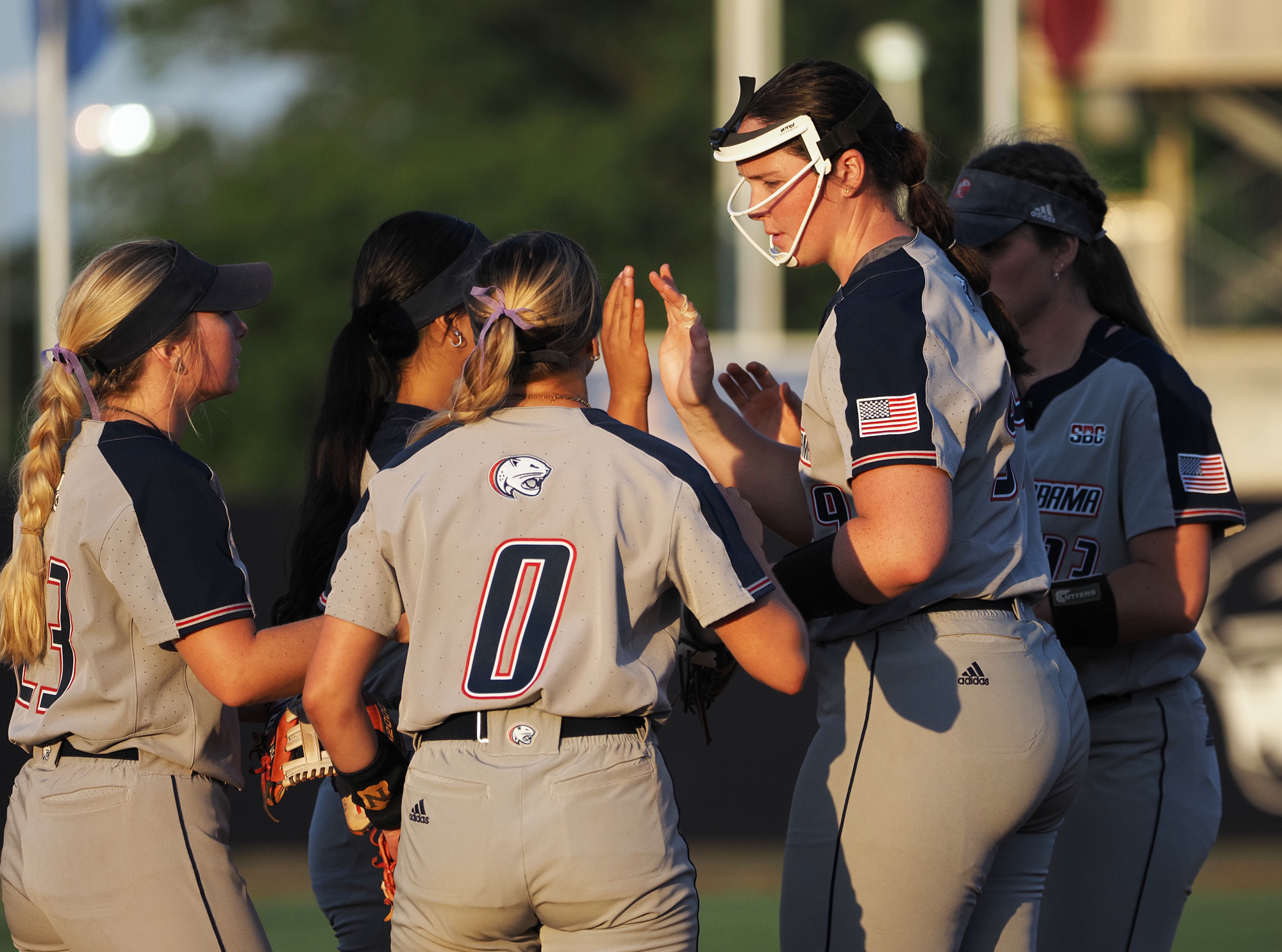 Georgia State and South Alabama softball - al.com