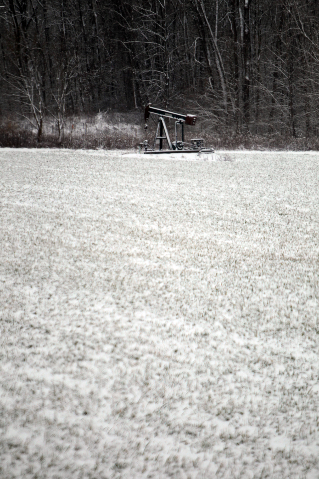 Scenic snowfall blankets Northeast Ohio, February 1, 2021 - cleveland.com