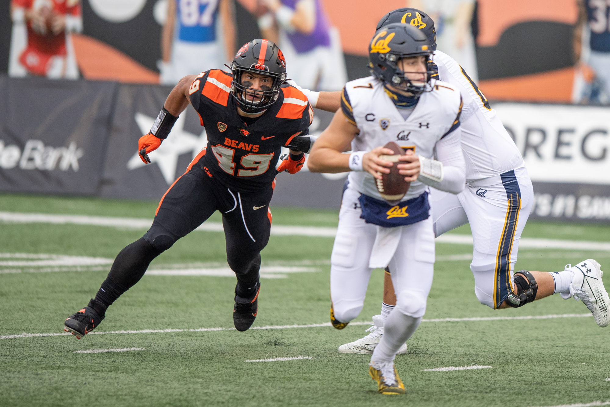 Oregon State Beavers football vs. Cal Golden Bears - oregonlive.com