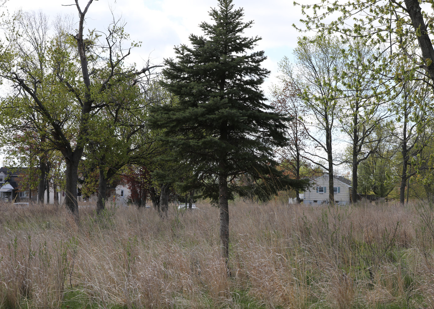 Tour of Blue Acres Site in Woodbridge - nj.com