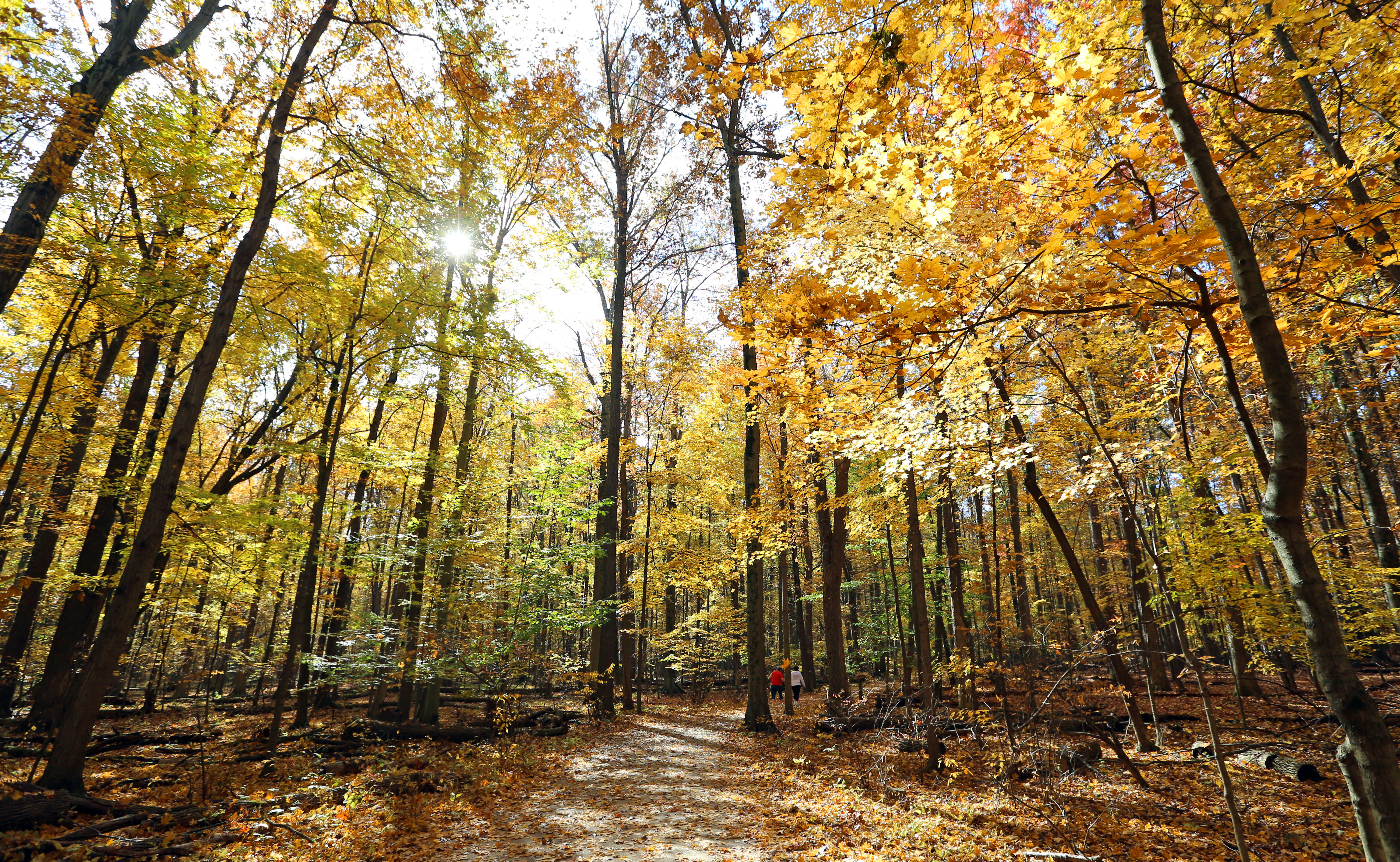 Fall colors are on full display in Northeast Ohio, October 27, 2022 ...