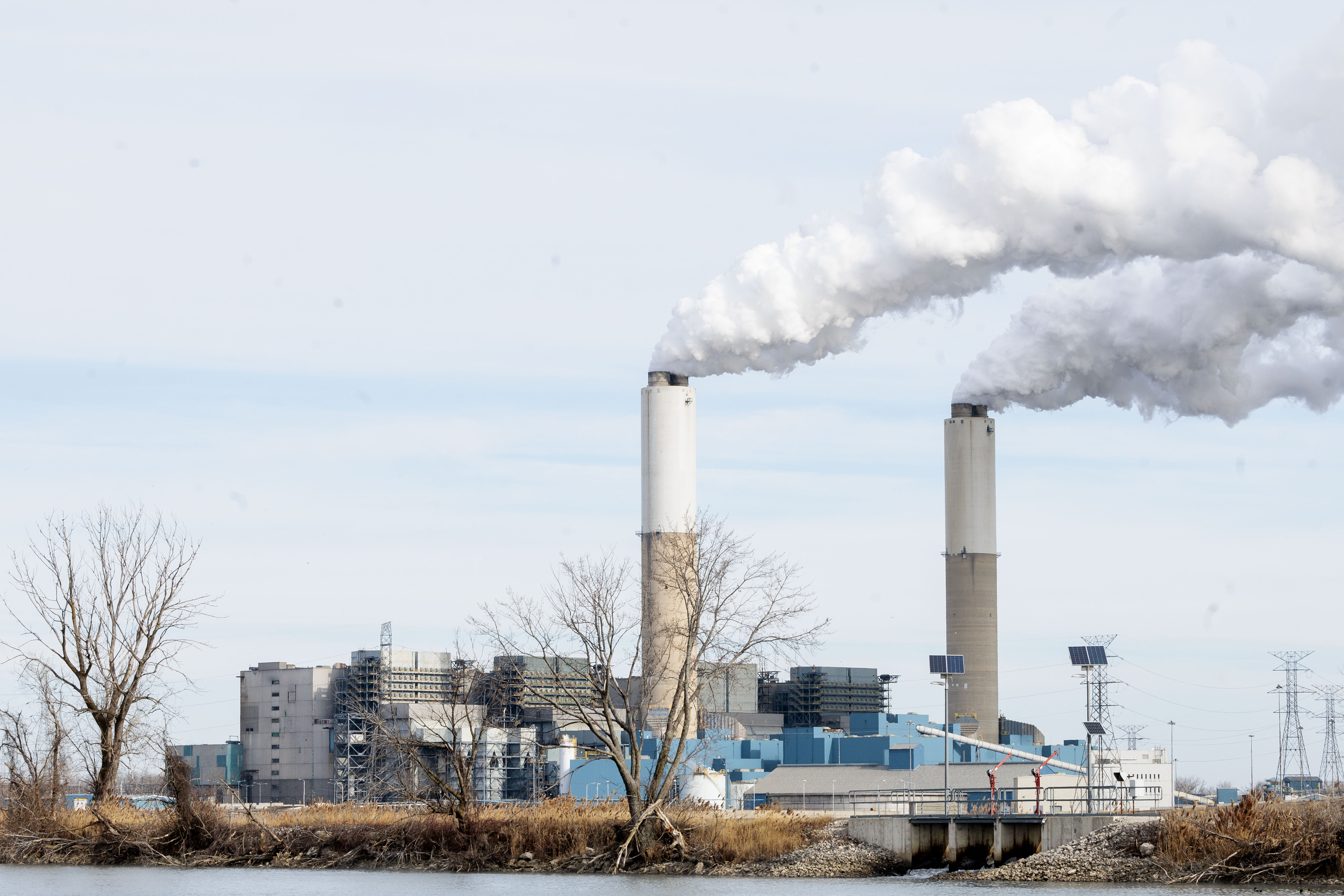 Bald eagles gather each year at DTE’s Monroe Power Plant - mlive.com