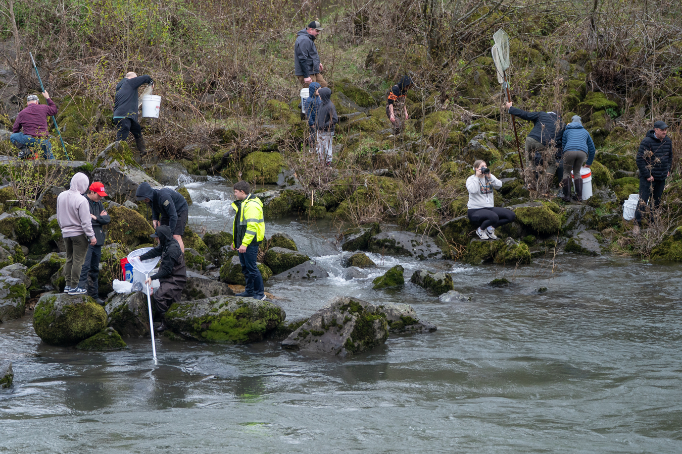 Sandy River smelt run 2025 - oregonlive.com