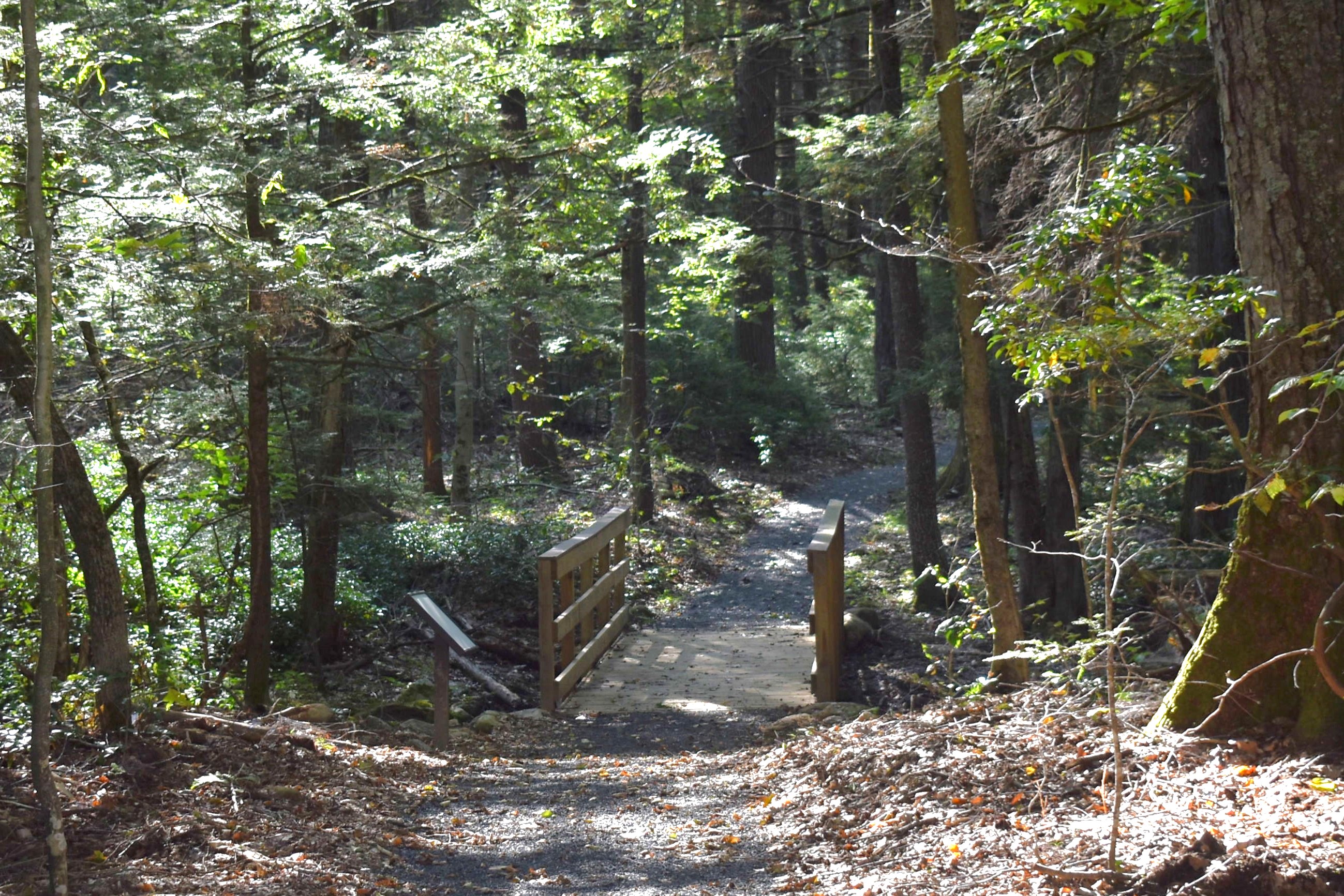 Grand opening All-Person's Trail at Noble View Outdoor Center ...