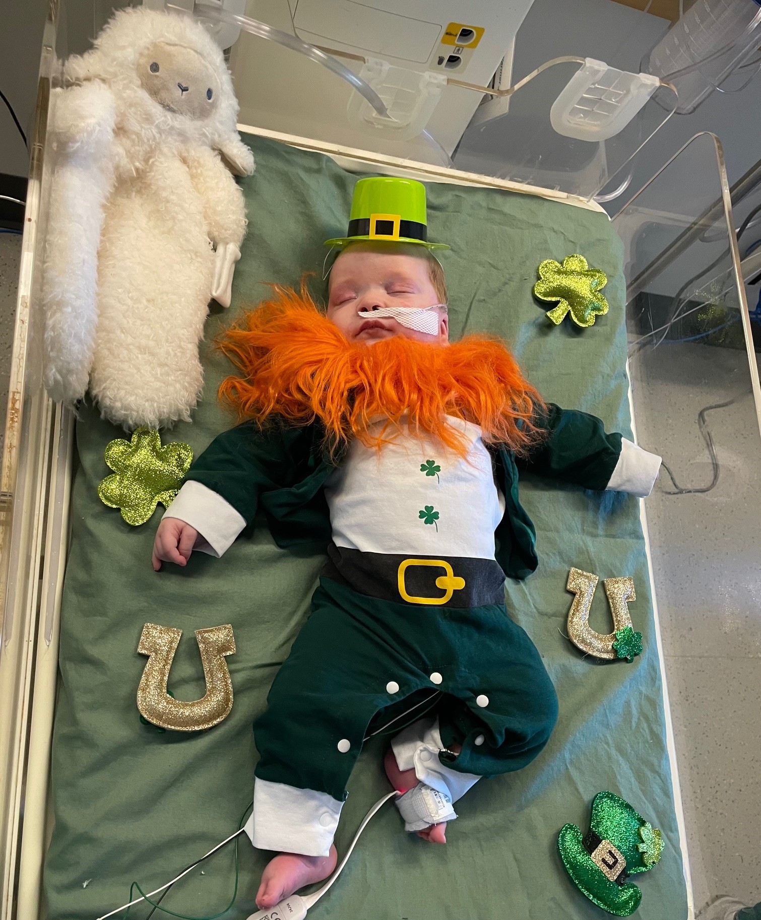 Mass General Brigham NICU babies celebrate their first St. Patrick's Day - masslive.com