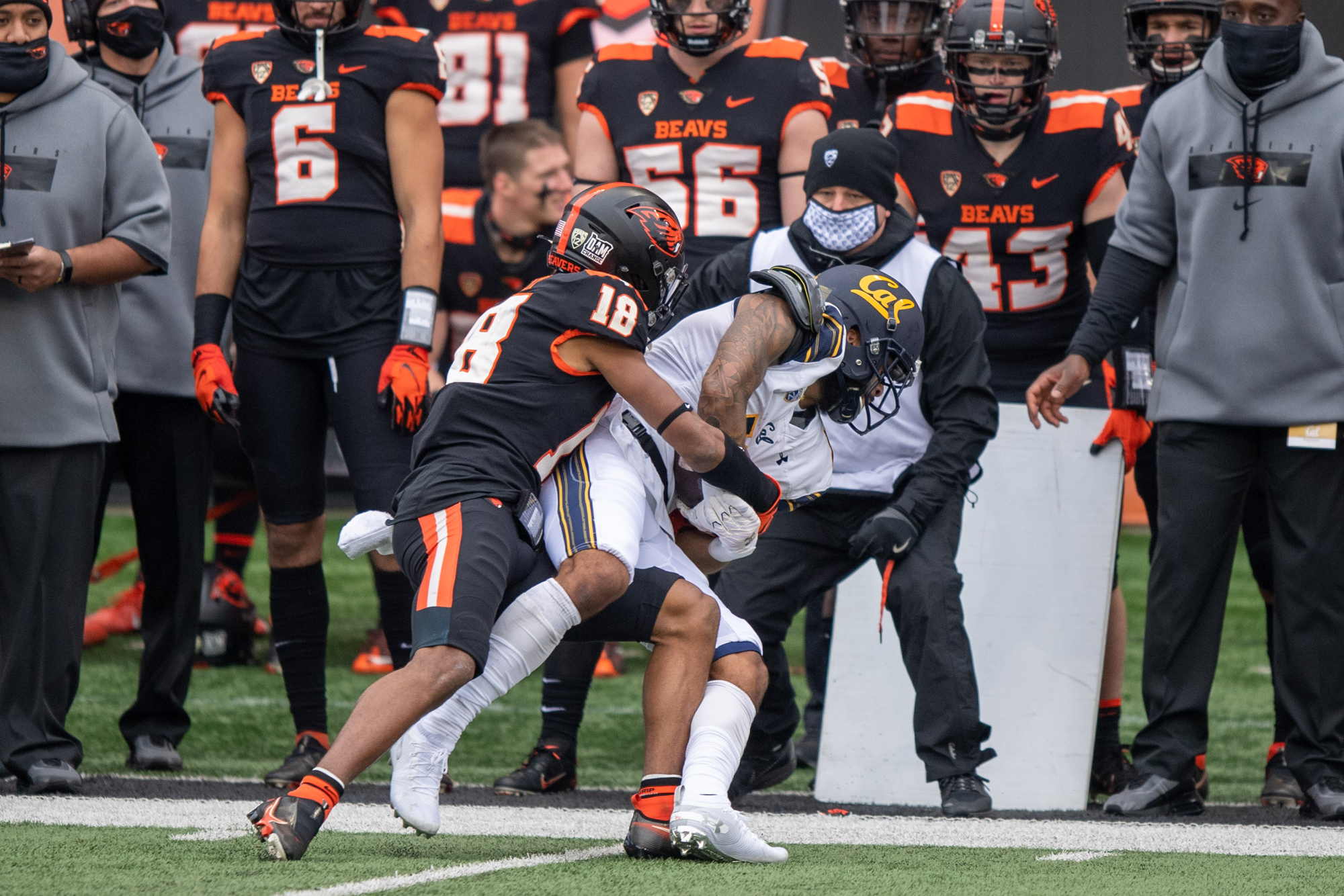 Oregon State Beavers football vs. Cal Golden Bears - oregonlive.com